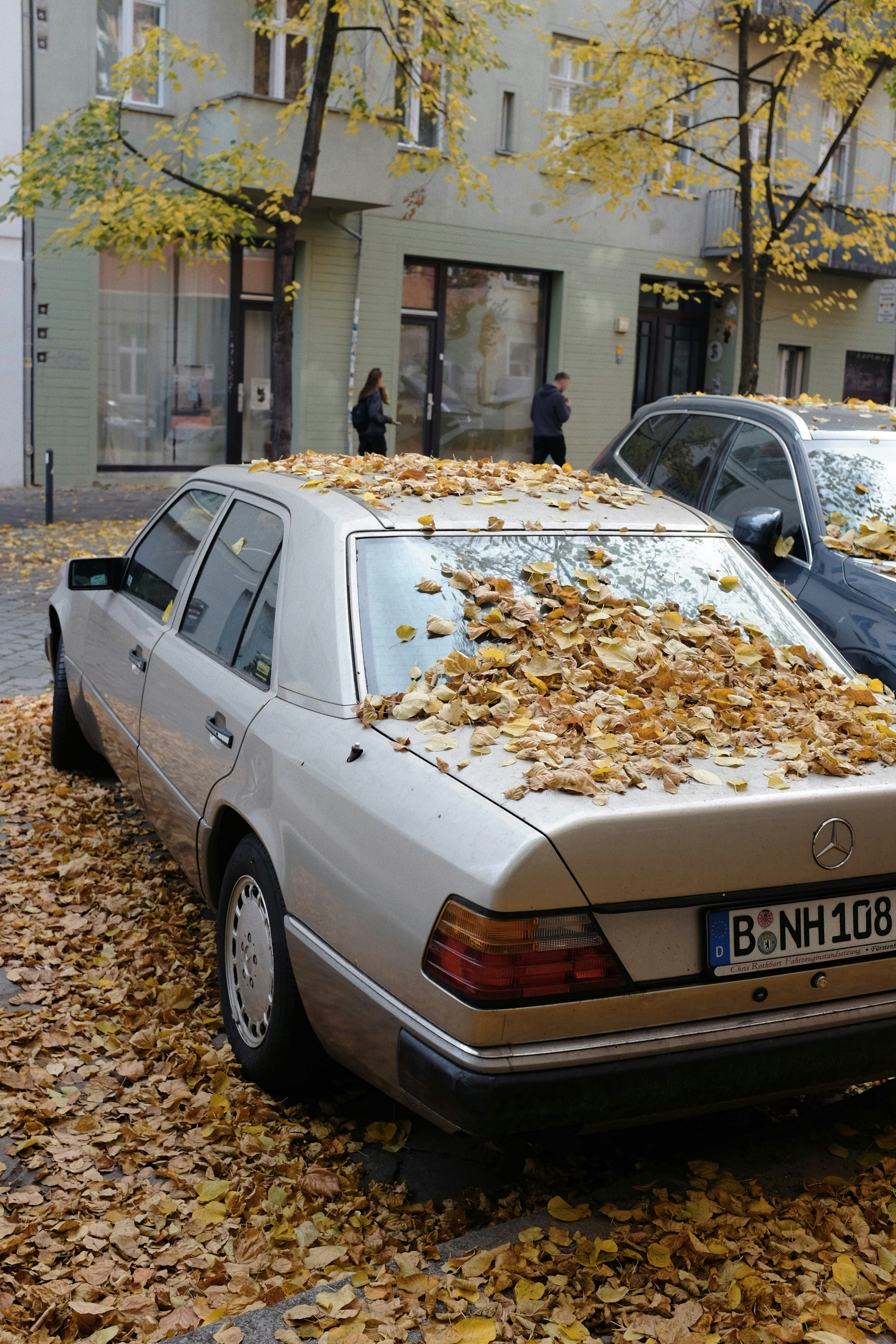 Autumn Confetti on a City Mercedes