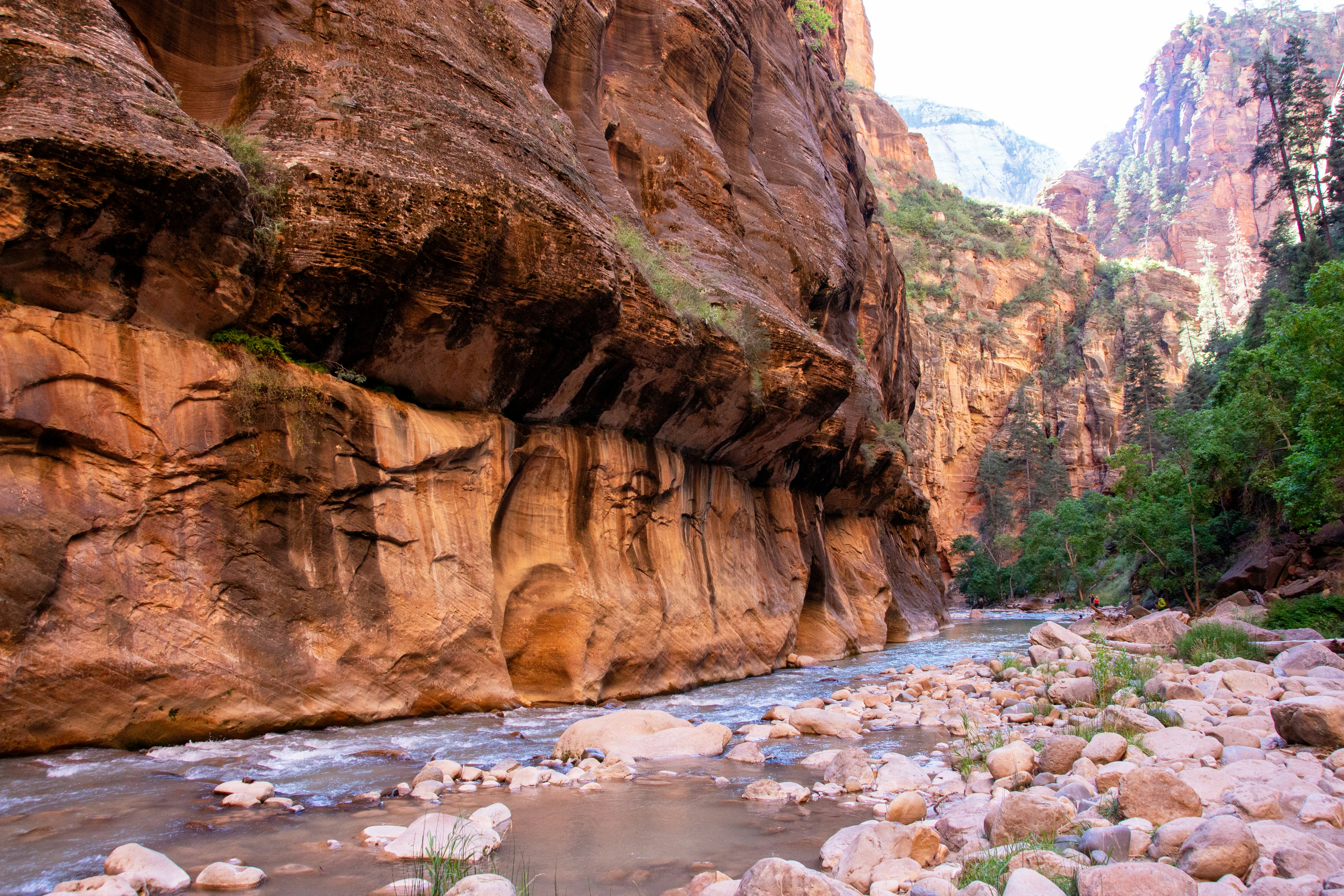 A river running through a canyon surrounded by rocks photo – Free River ...