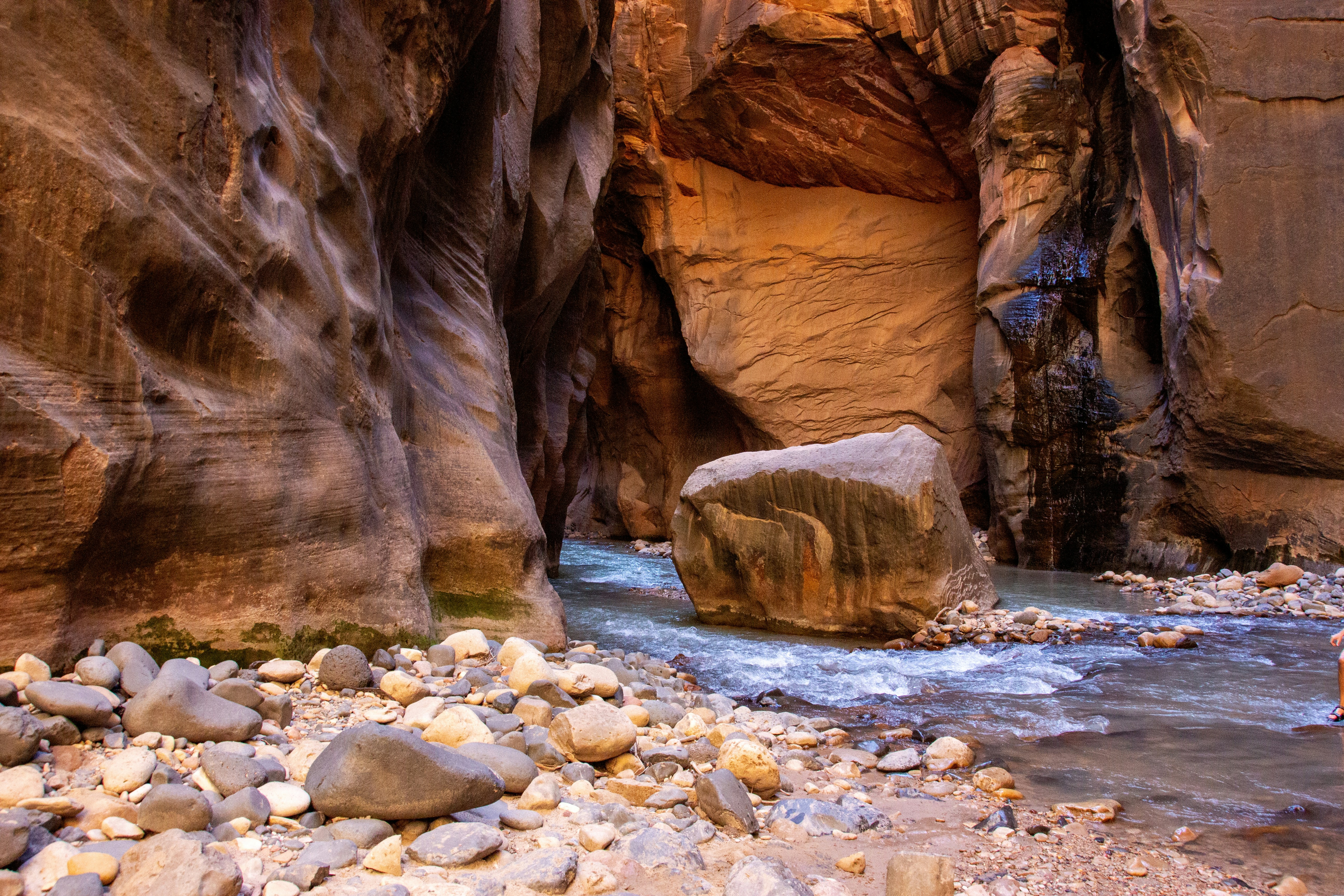 A river running through a narrow canyon filled with rocks photo – Free ...