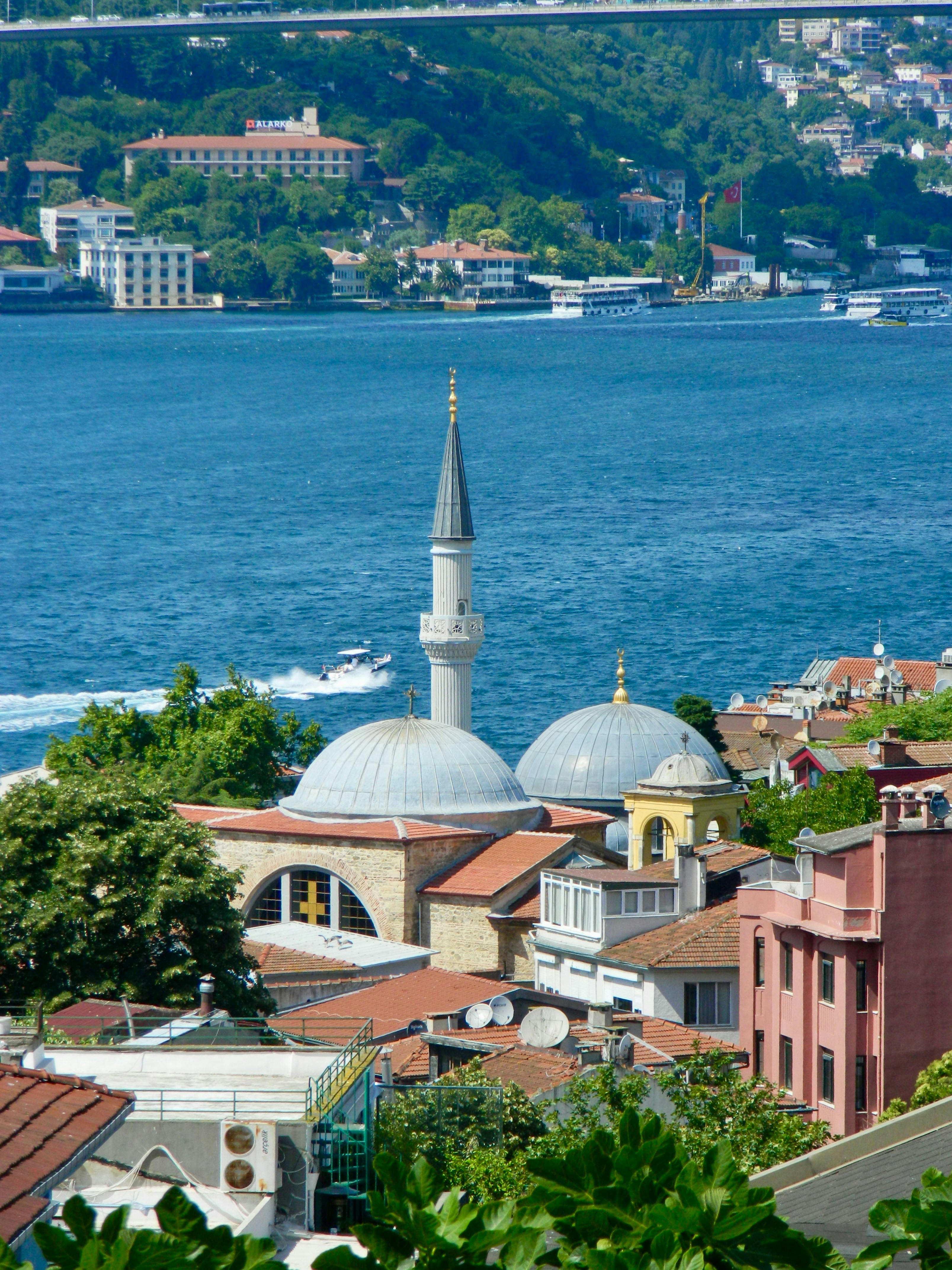Minarets and blue harbor: a seaside Turkish town from a terraced overlook
