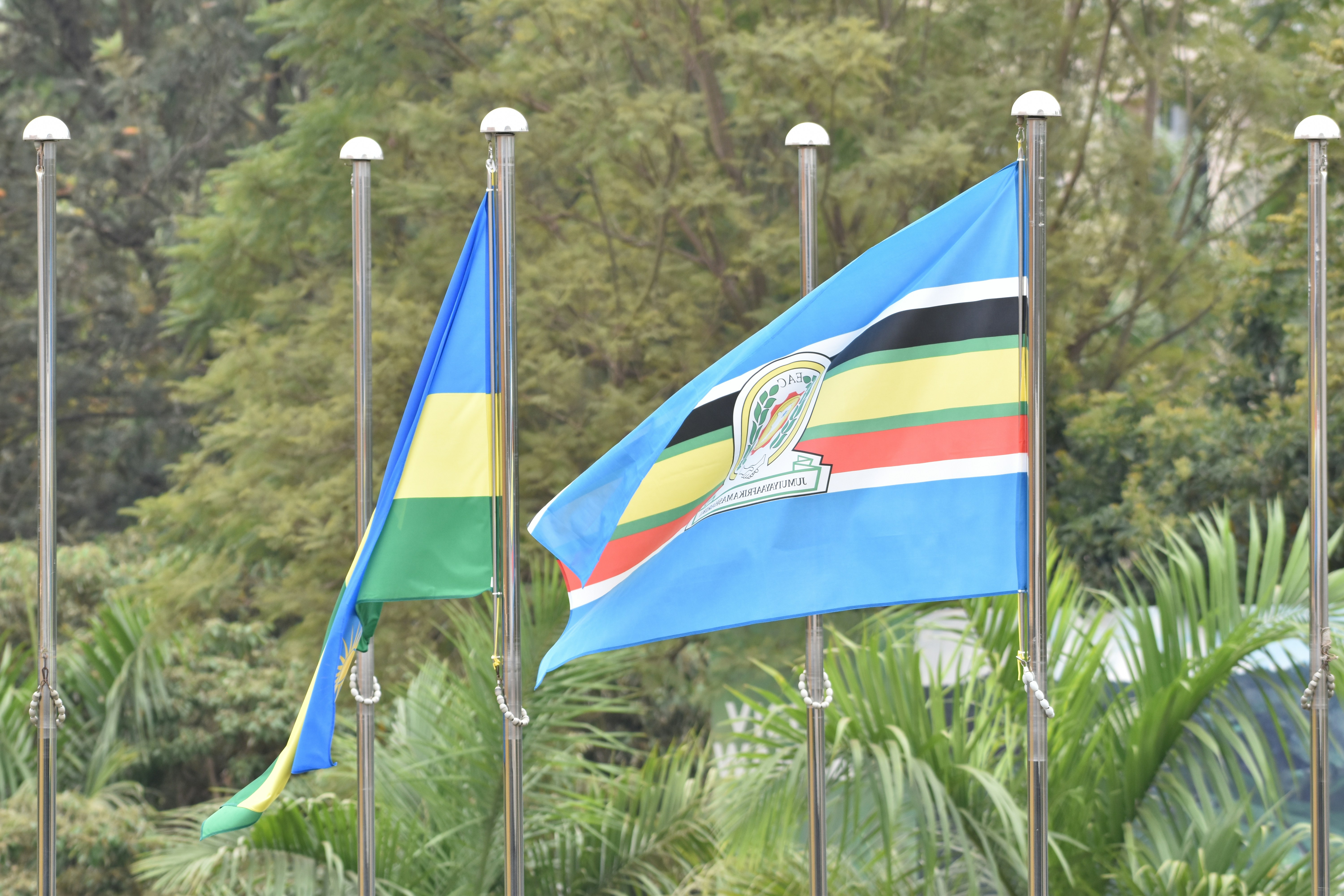 Flag Portrait: A Trio of Signals Amid Verdant Backdrop