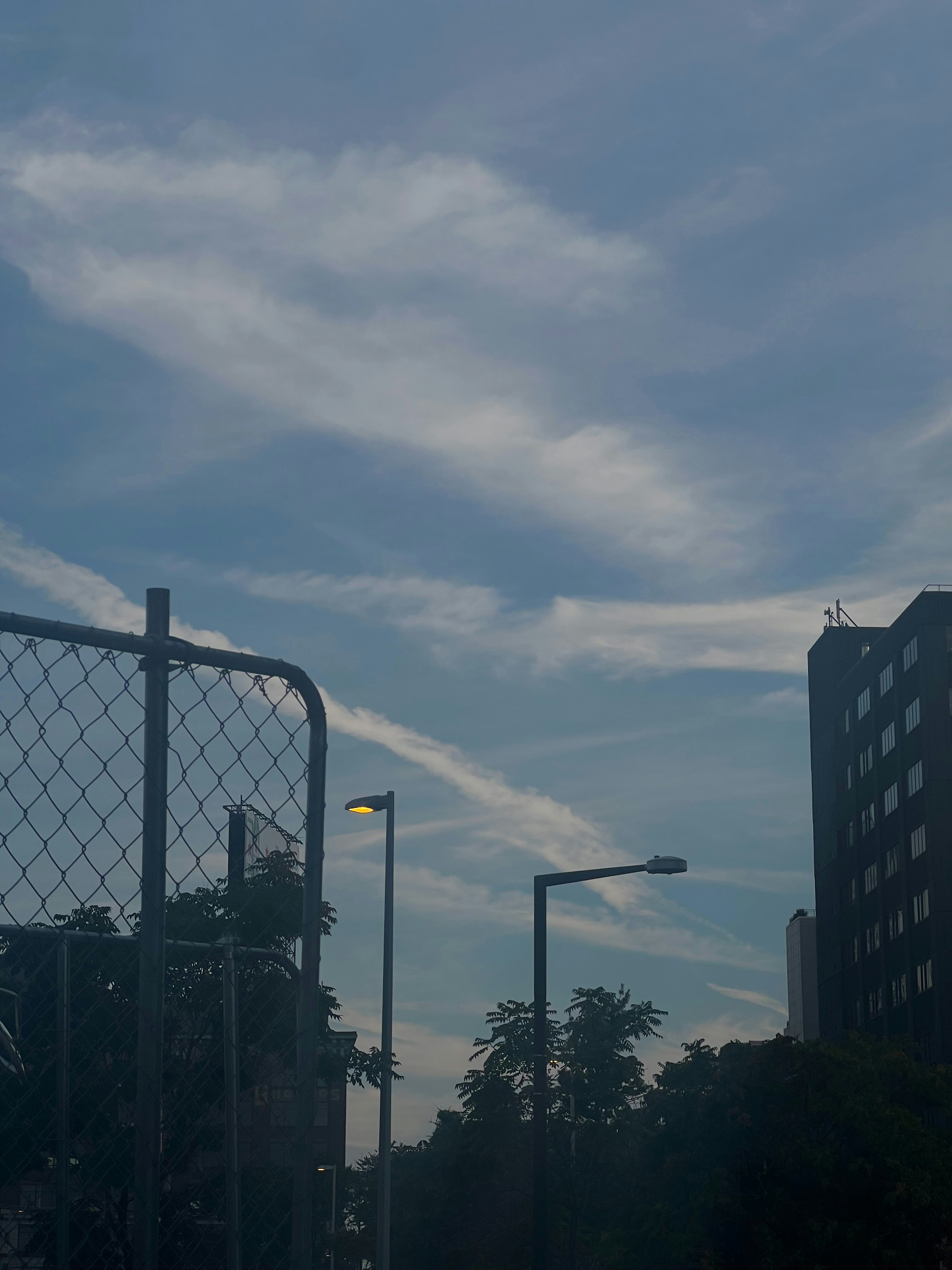 Dusk Over the Chain-Link: Streetlamps Dialogue with Sky
