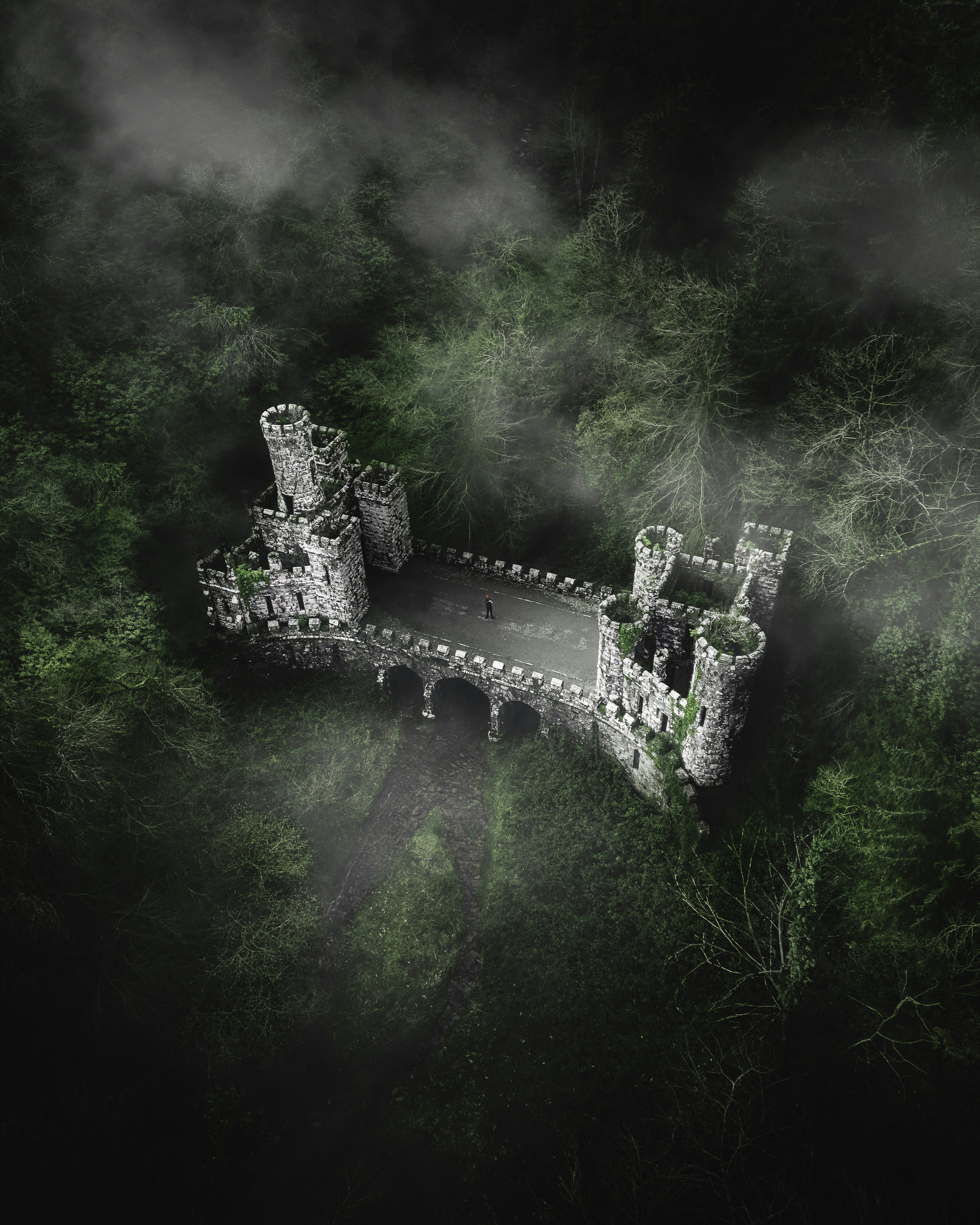 Mist-Bridge Keep: Aerial Ruins Above the Cloaked Forest
