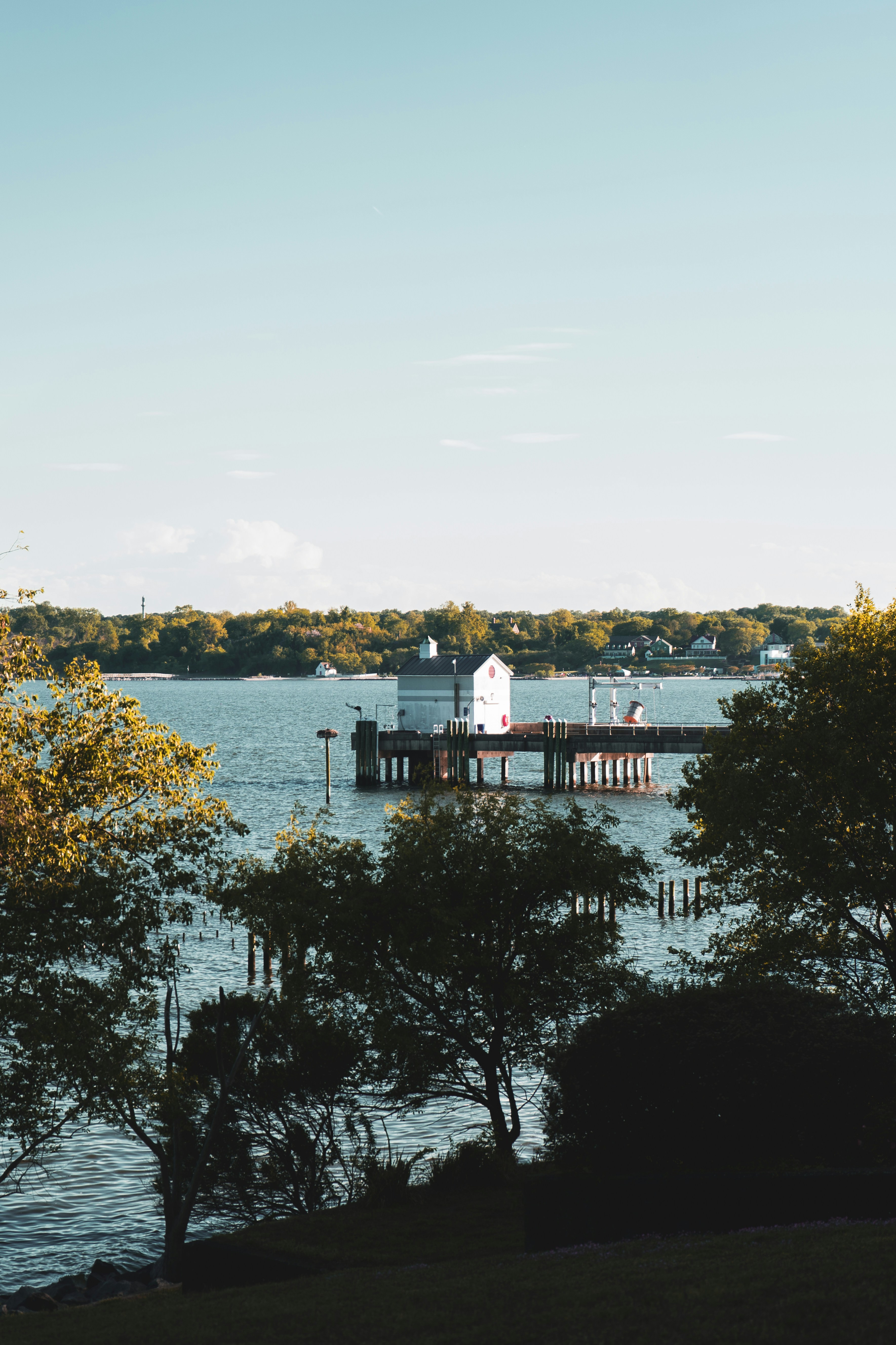 The White Pier House: A Quiet Lakeside Moment Framed by Trees