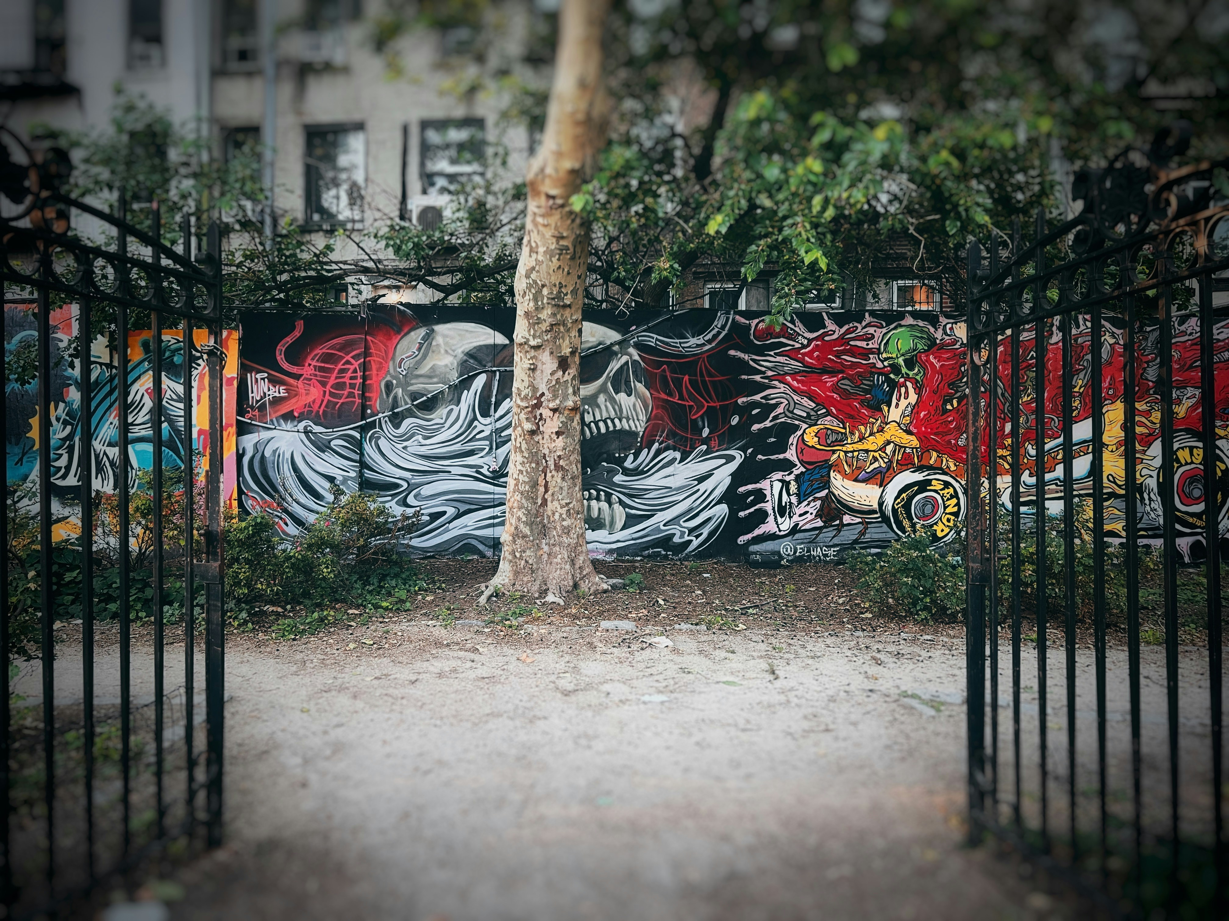 Iron Gate Portal to a Graffiti Garden