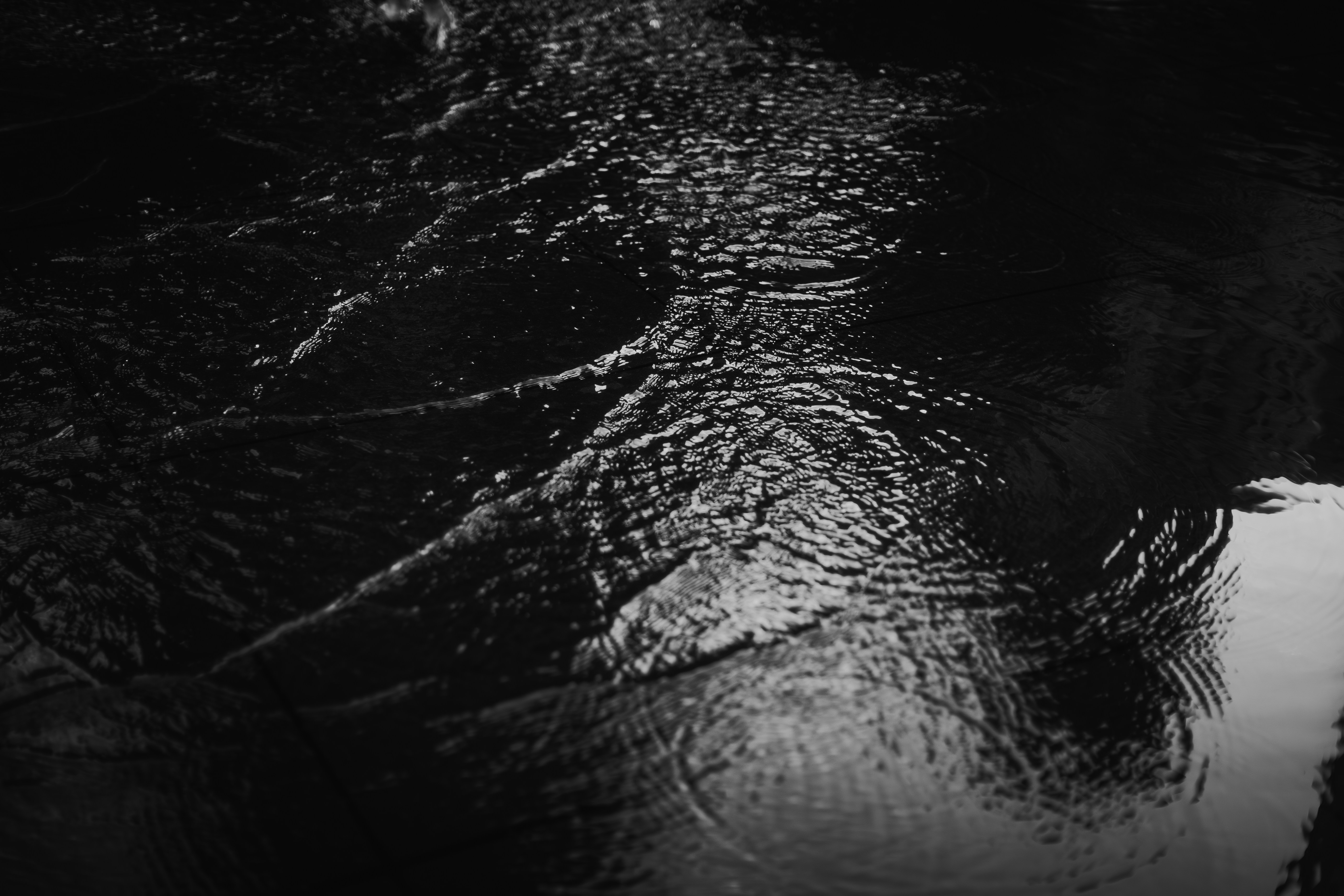 Photo by Gilley Aguilar with Canon EOS 5D Mark II