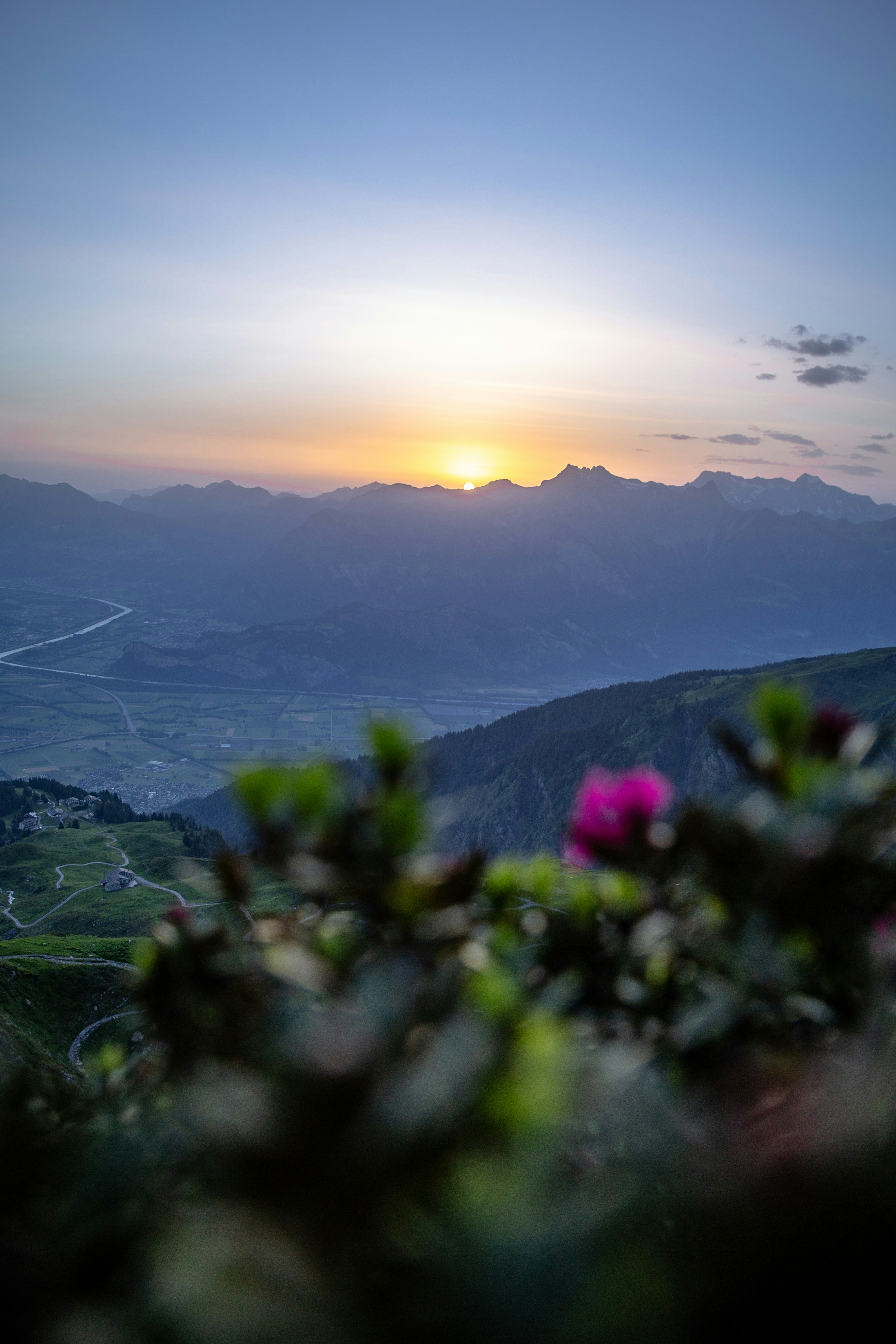 Alpine Dawn Over Blossoms