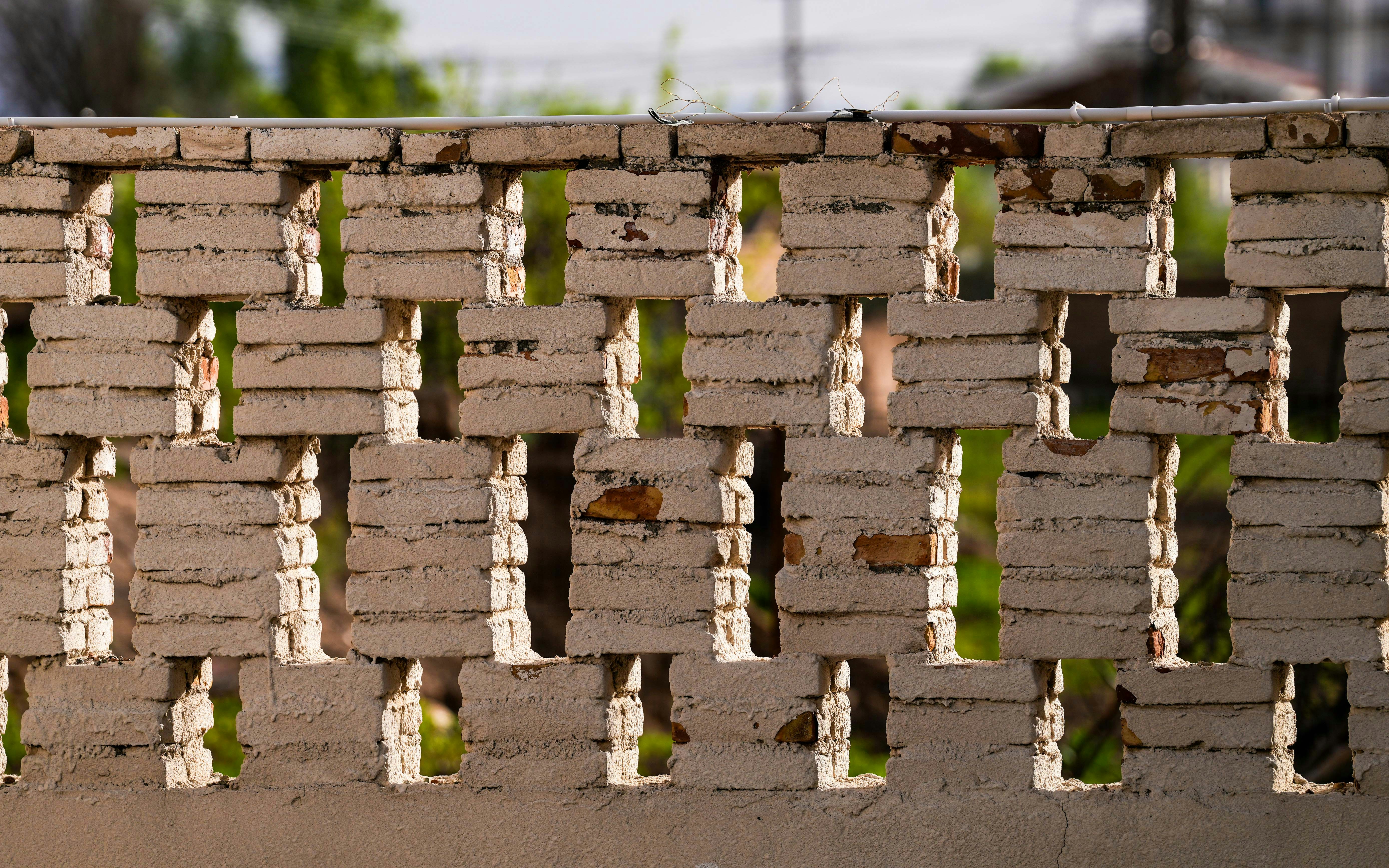 Photo by 安 崔士 with Sony Alpha 7R V