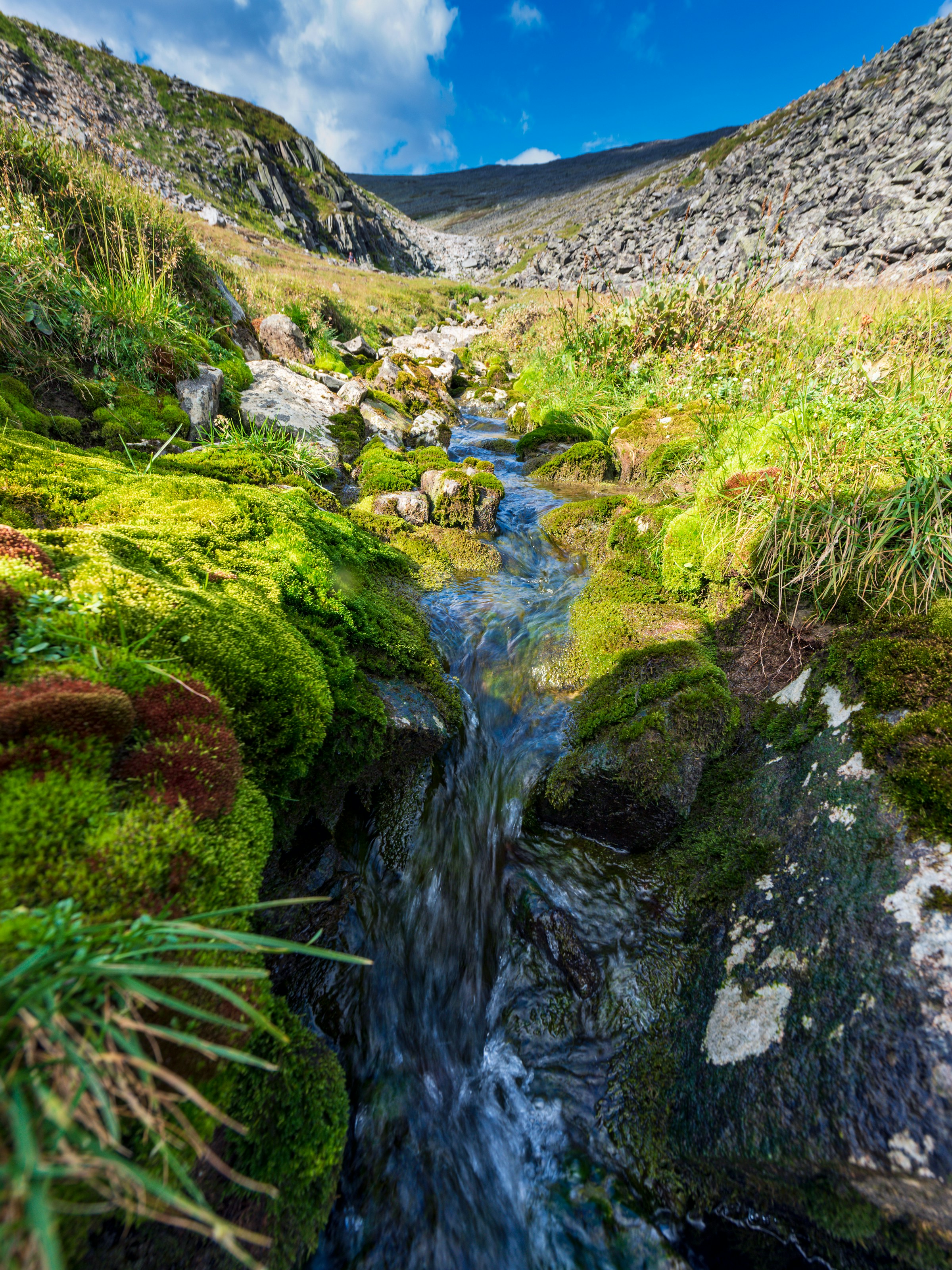 A stream running through a lush green hillside photo – Free Moss Image ...