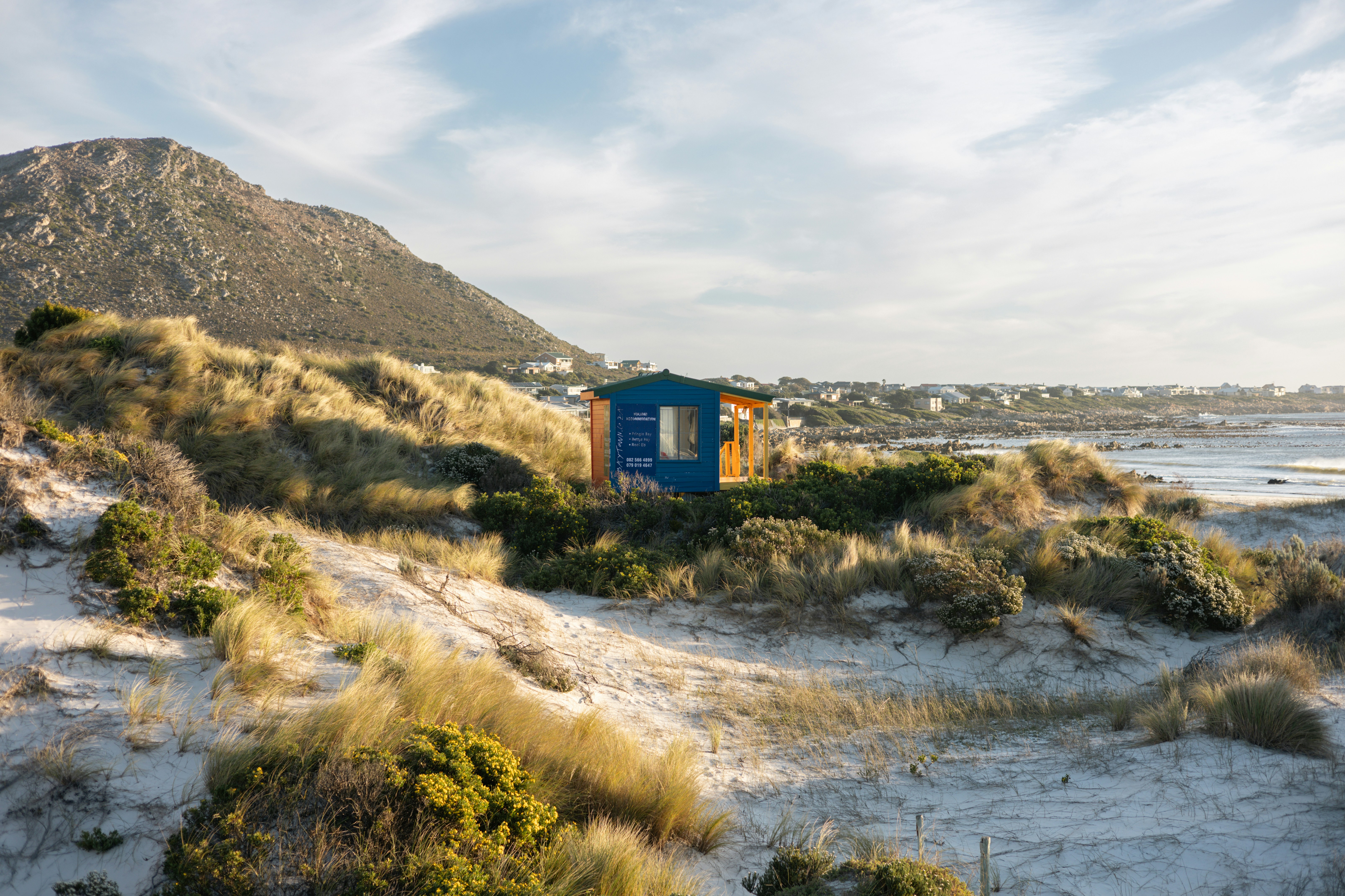 Blue Lifeguard Hut Amid Windswept Dunes on a Quiet Coastline