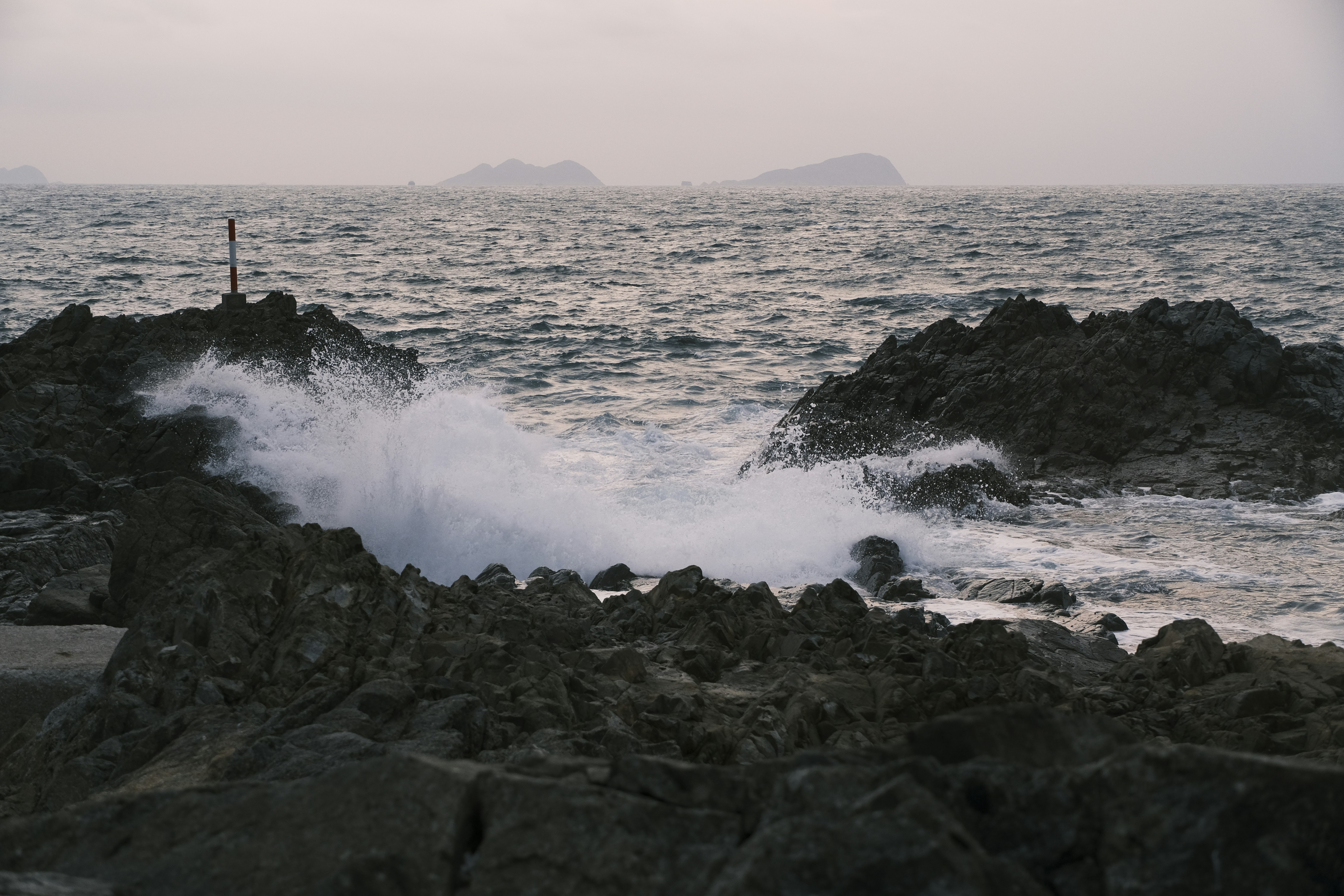 Photo by Martin Ma with Fujifilm X-T4