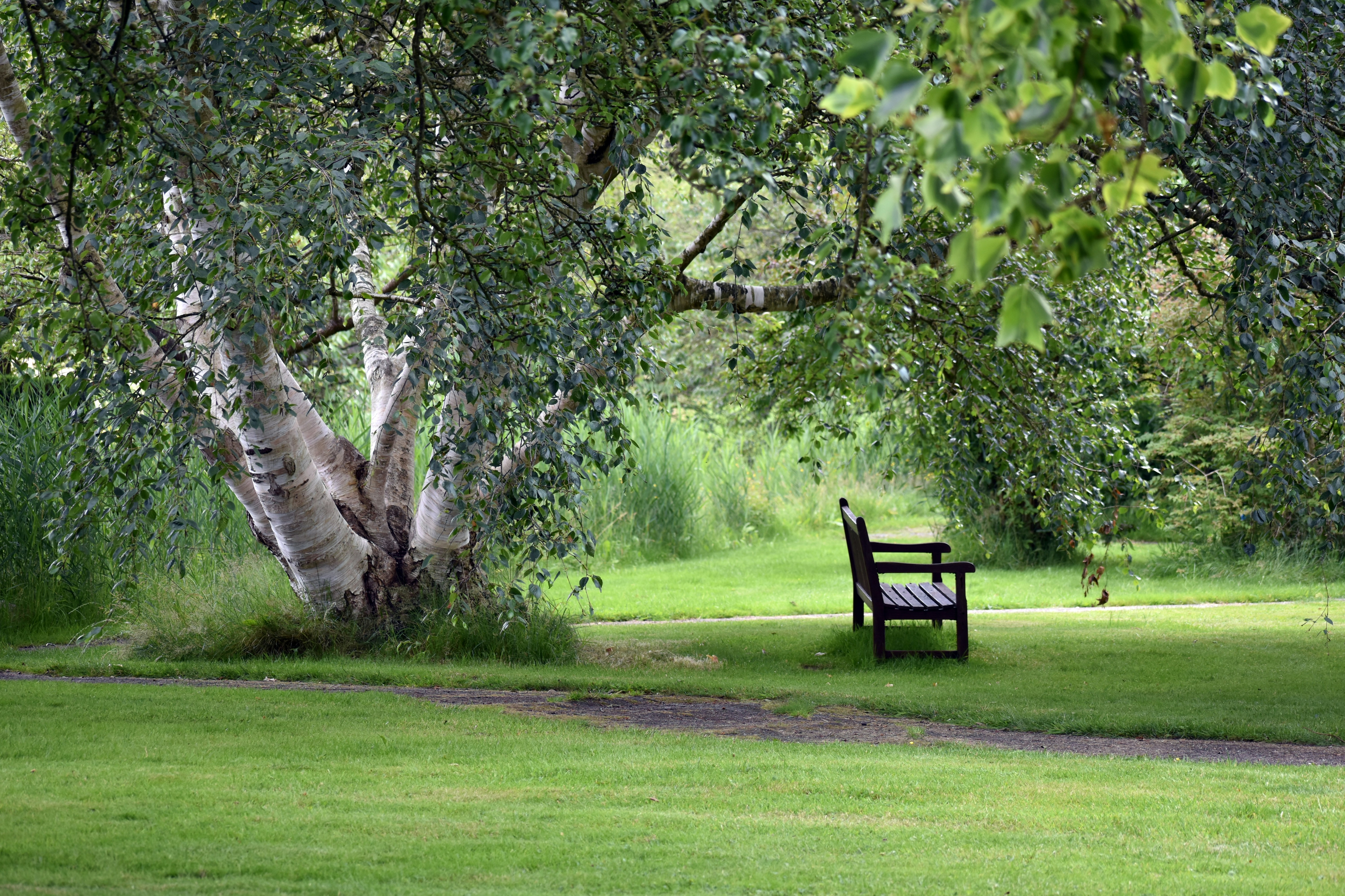 A bench in an idyllic park (A fairytale atmosphere - silence)