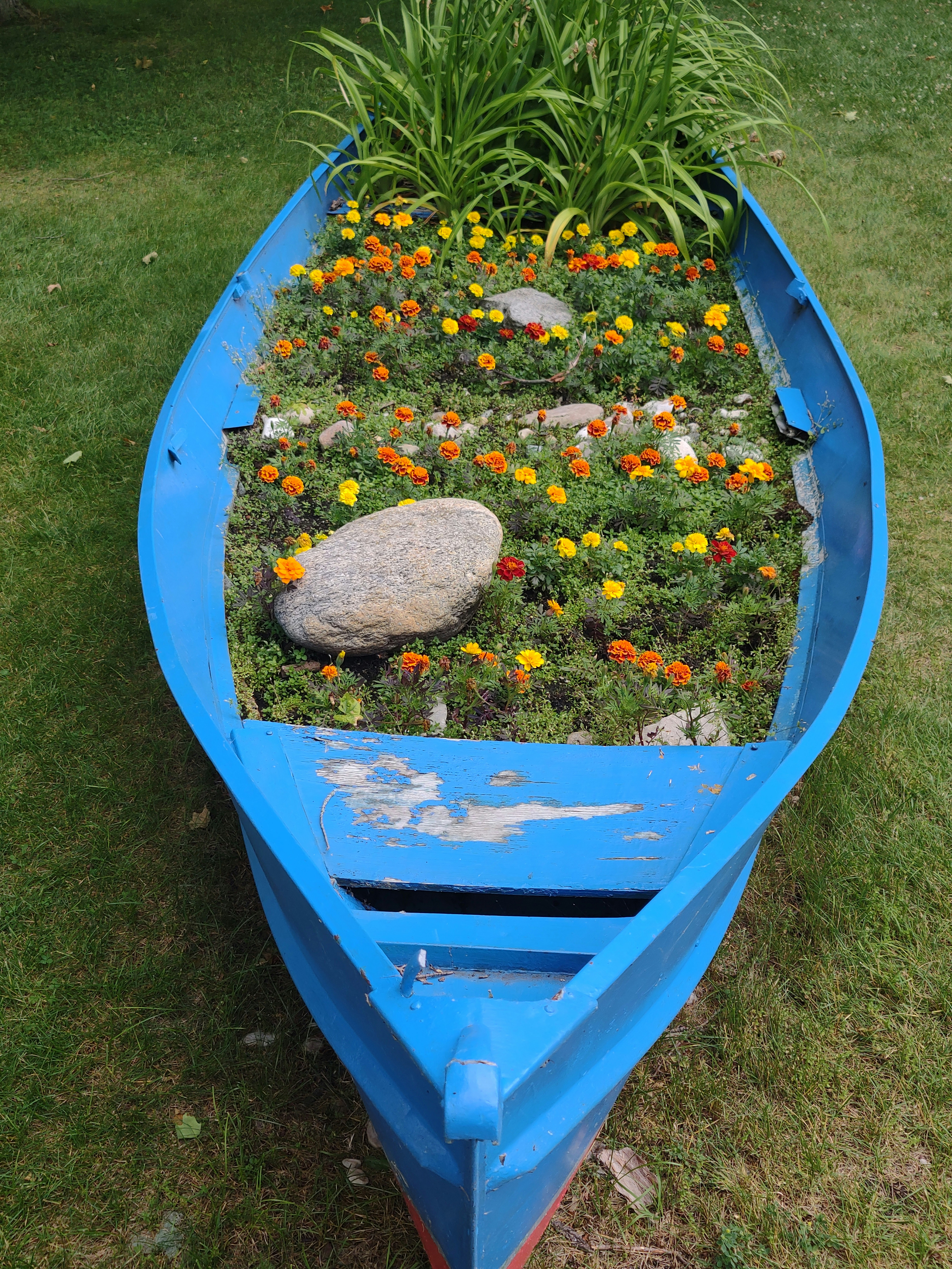 Photo by Justin Claussen with Motorola Edge Plus