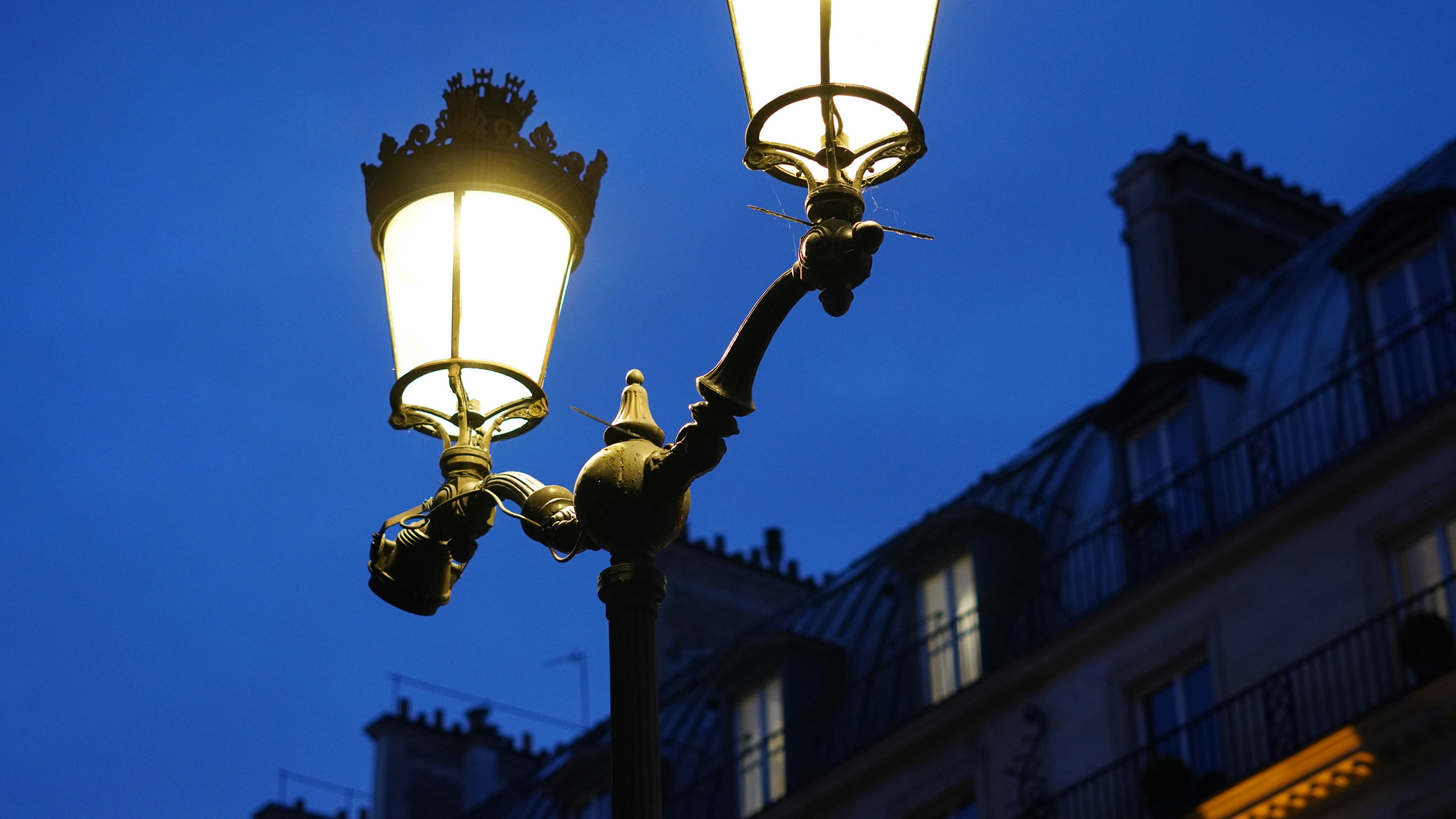 Nocturnal Lanterns: A Spider's Pause on a Wrought-Iron Lamp
