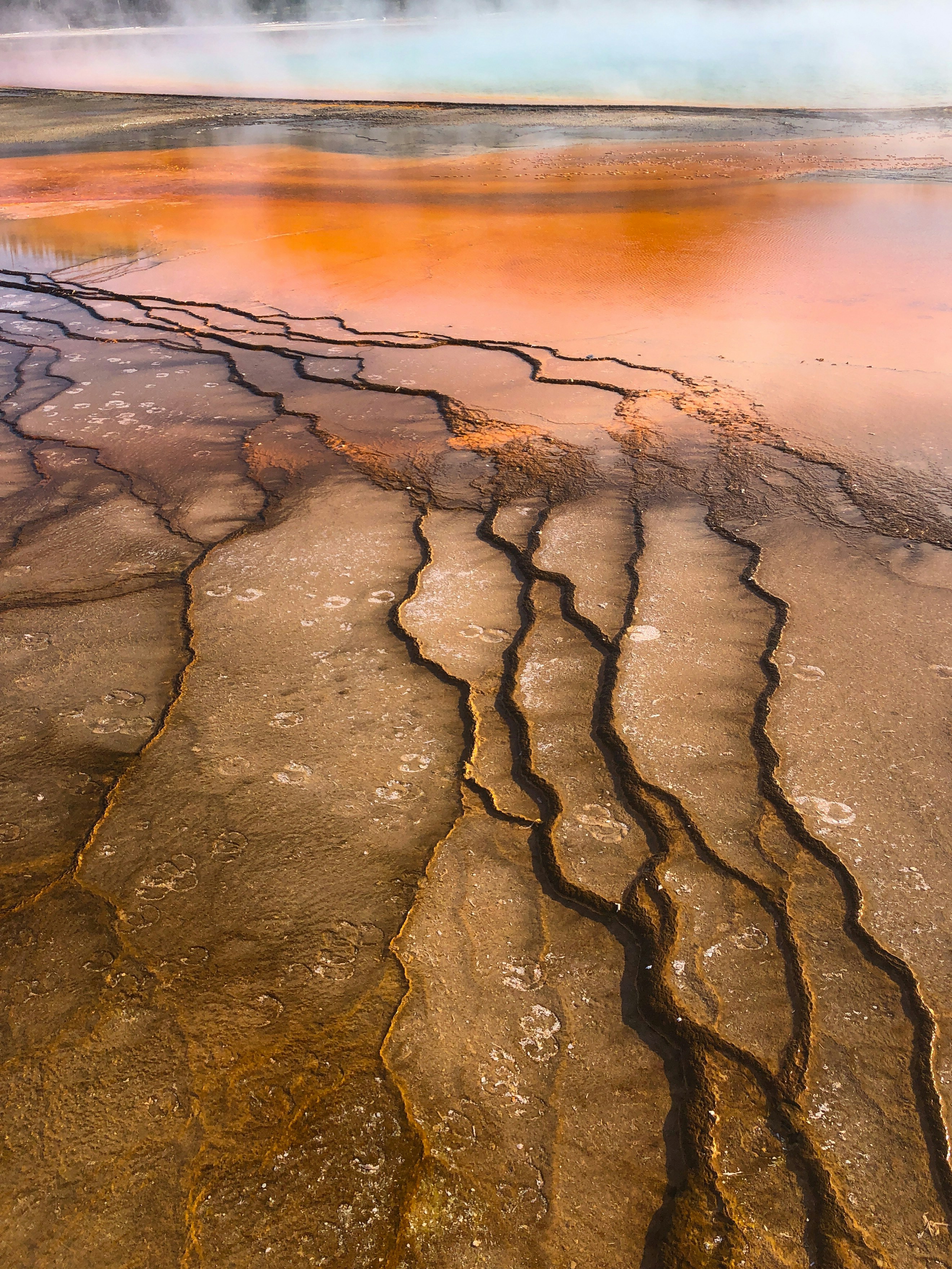 A hot spring in the middle of a desertDaniel Gomez