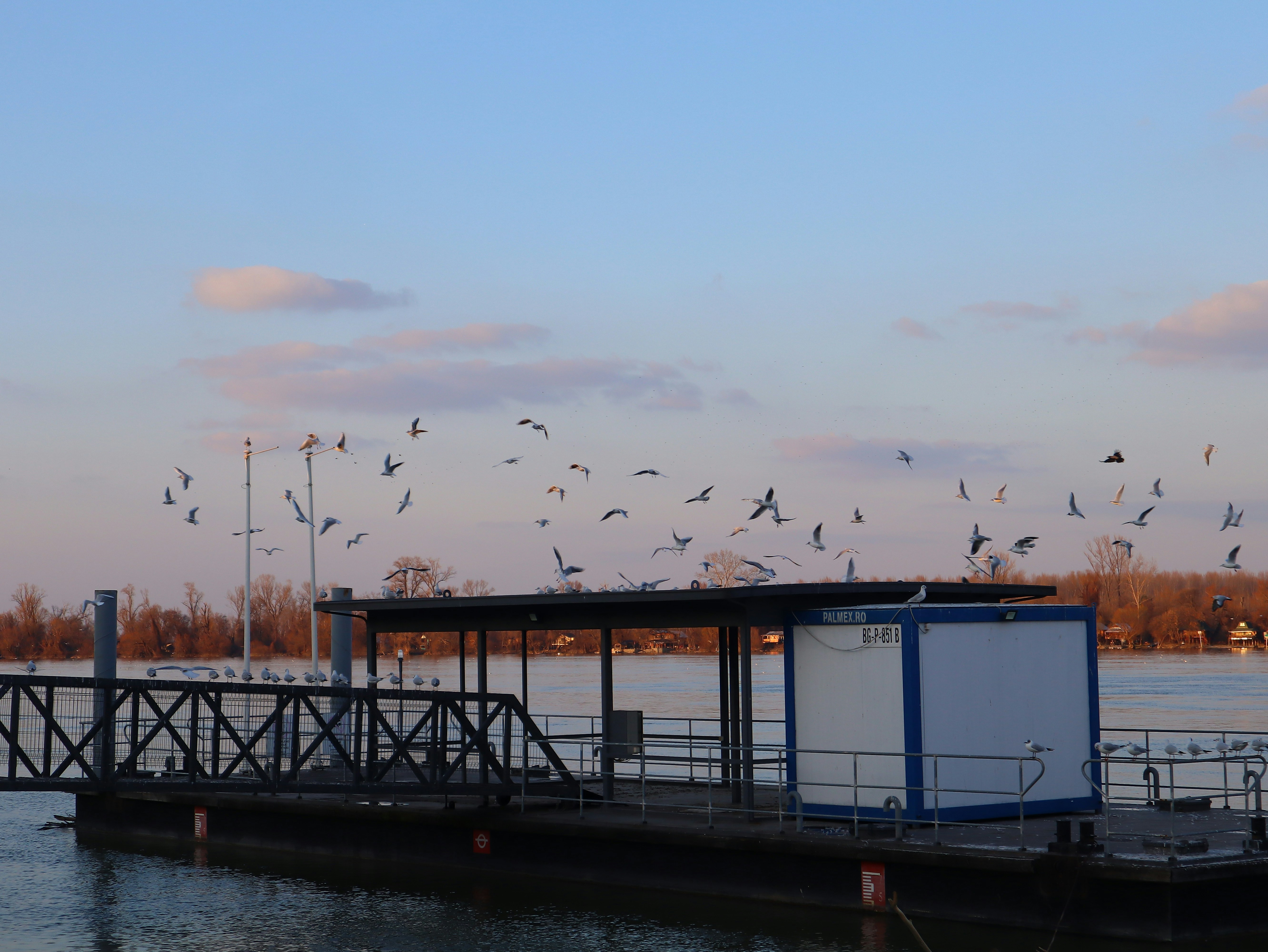 Dusk Light on a Floating Dockhouse as Birds Scatter Across Quiet Water.