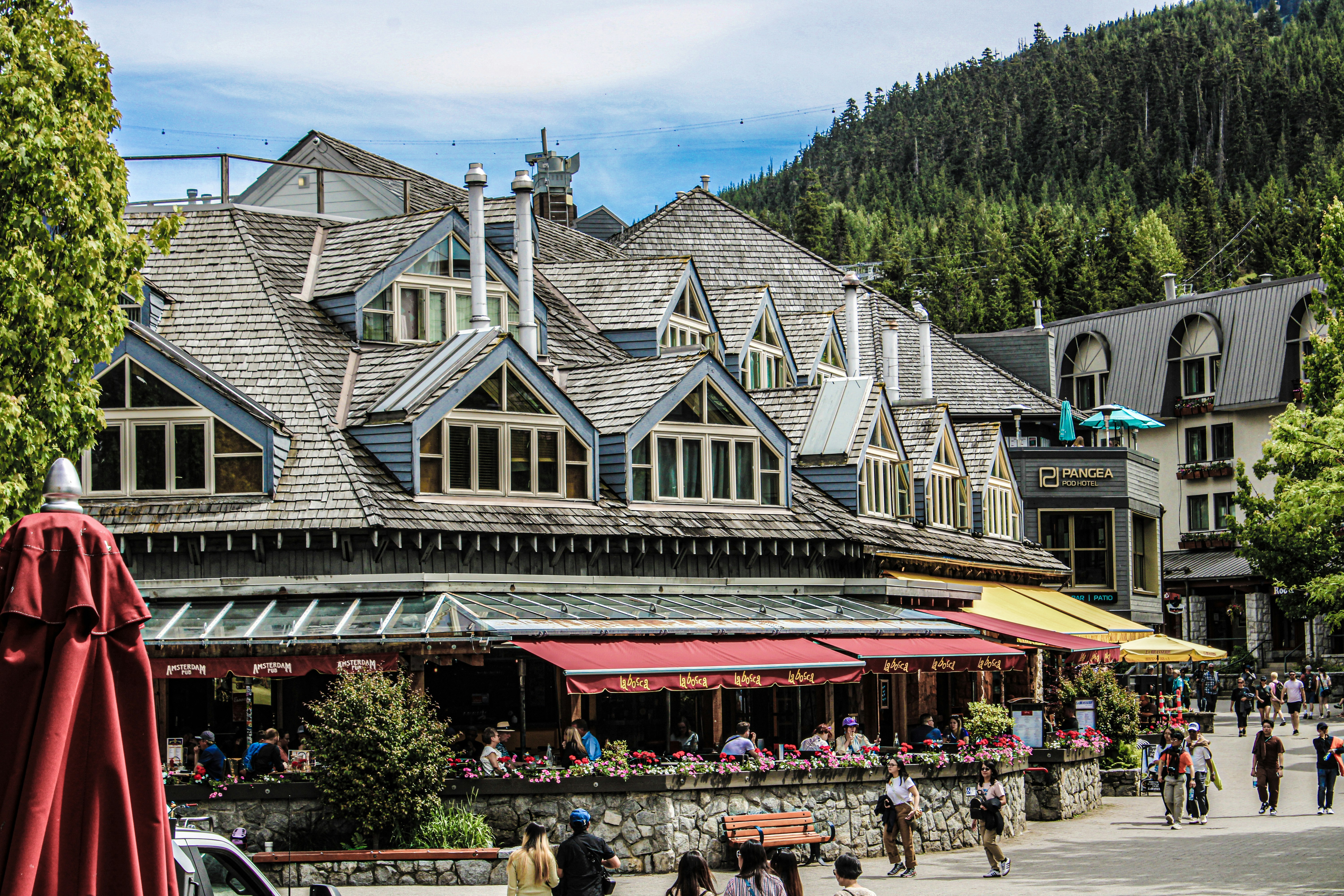 Photo by Peter Robbins with Canon EOS 2000D