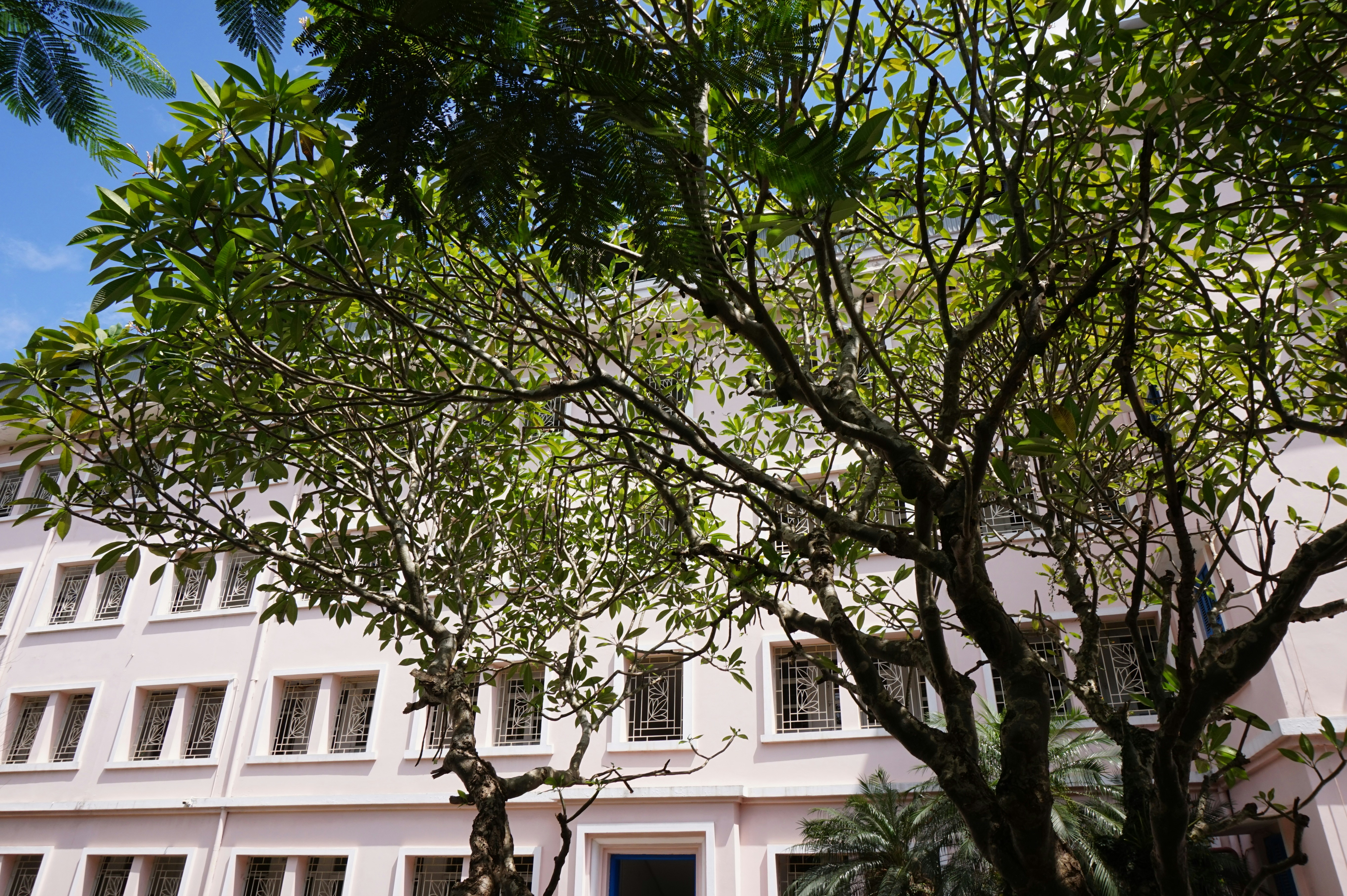 Un gran edificio blanco con árboles frente a él foto – Imagen de Ciudad ...