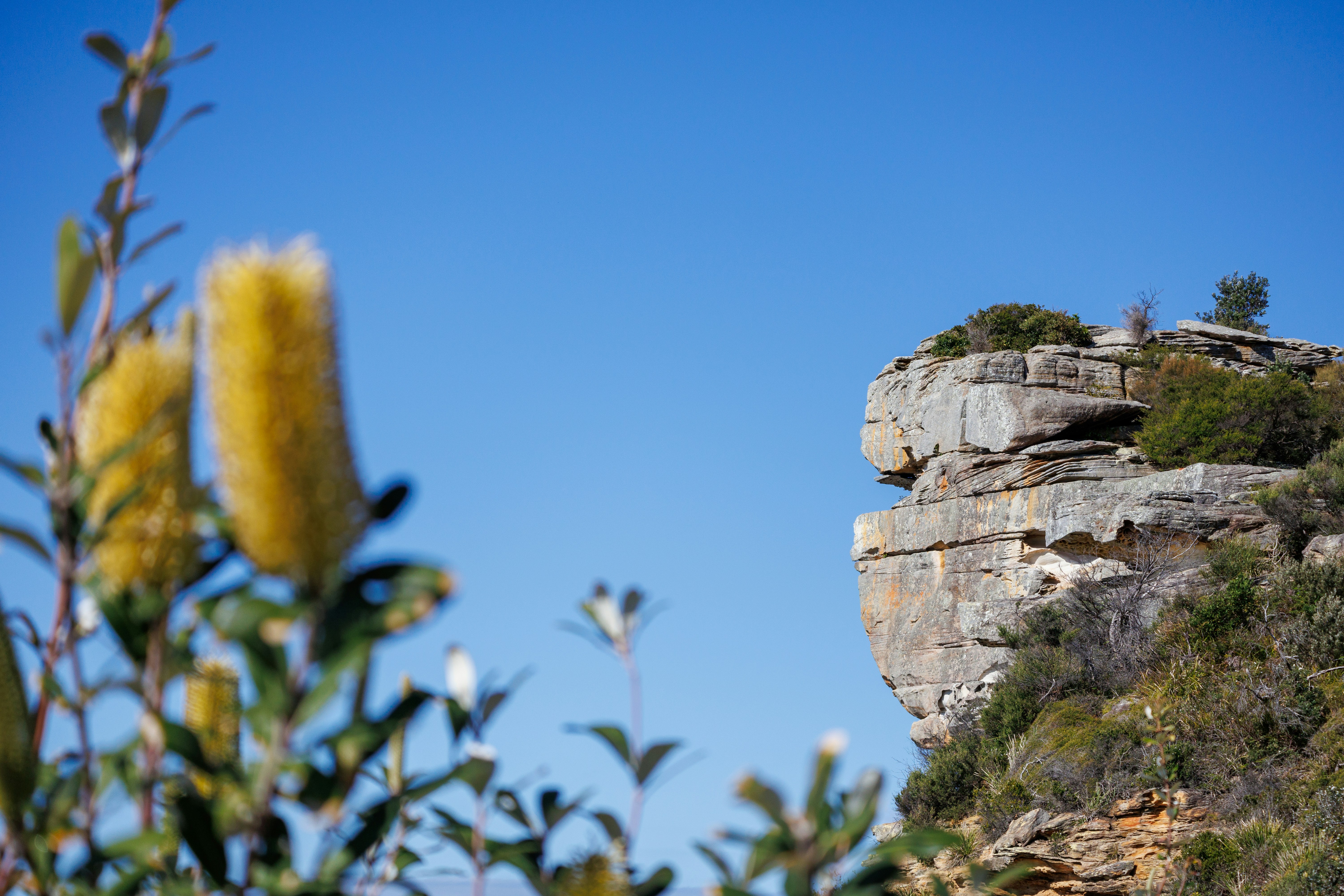 Granite Cliff Framed by Spring Foliage Under a Pristine Blue Sky