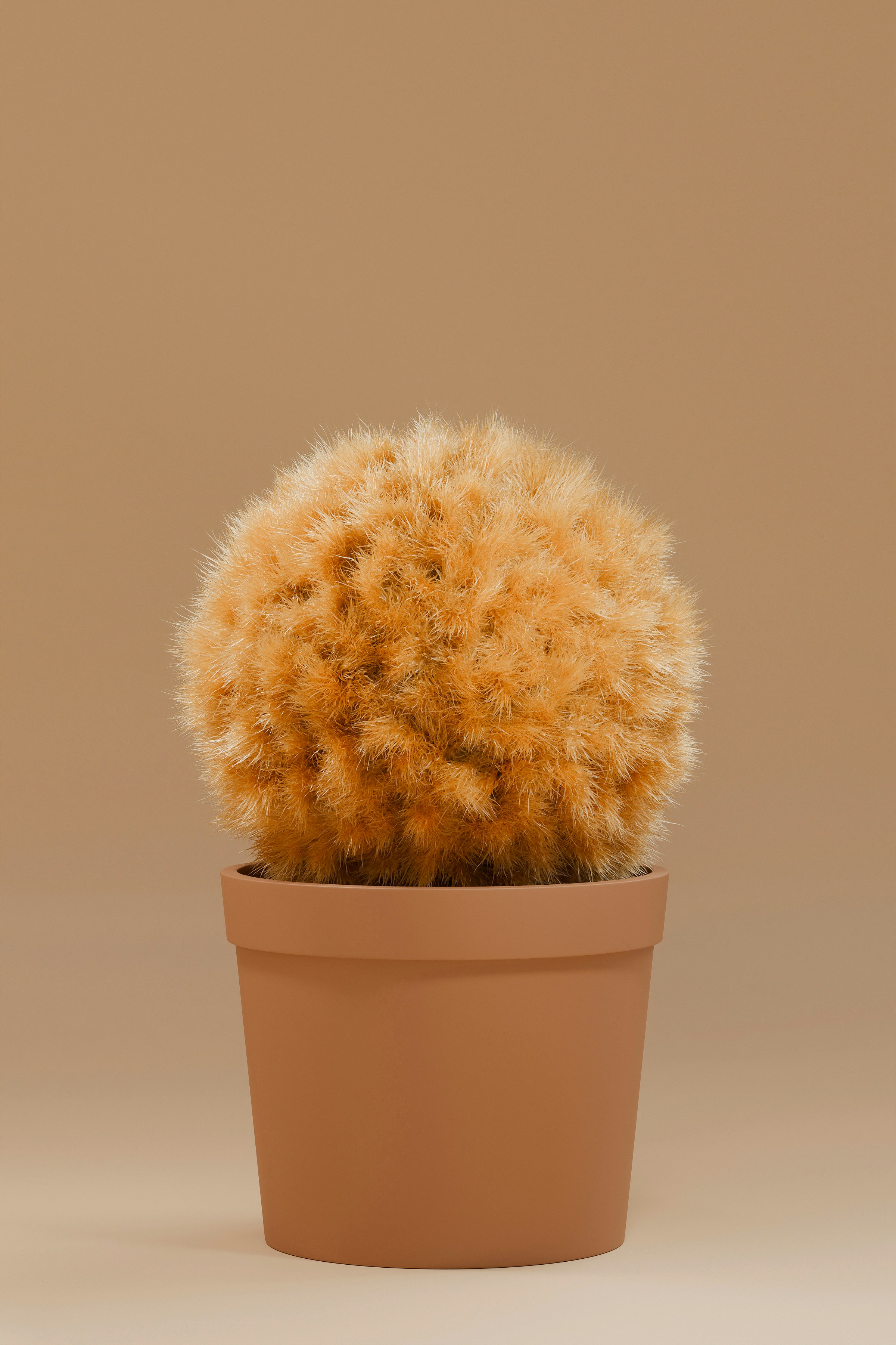 A small potted plant with a yellow fuzzy ball in it photo – Free ...
