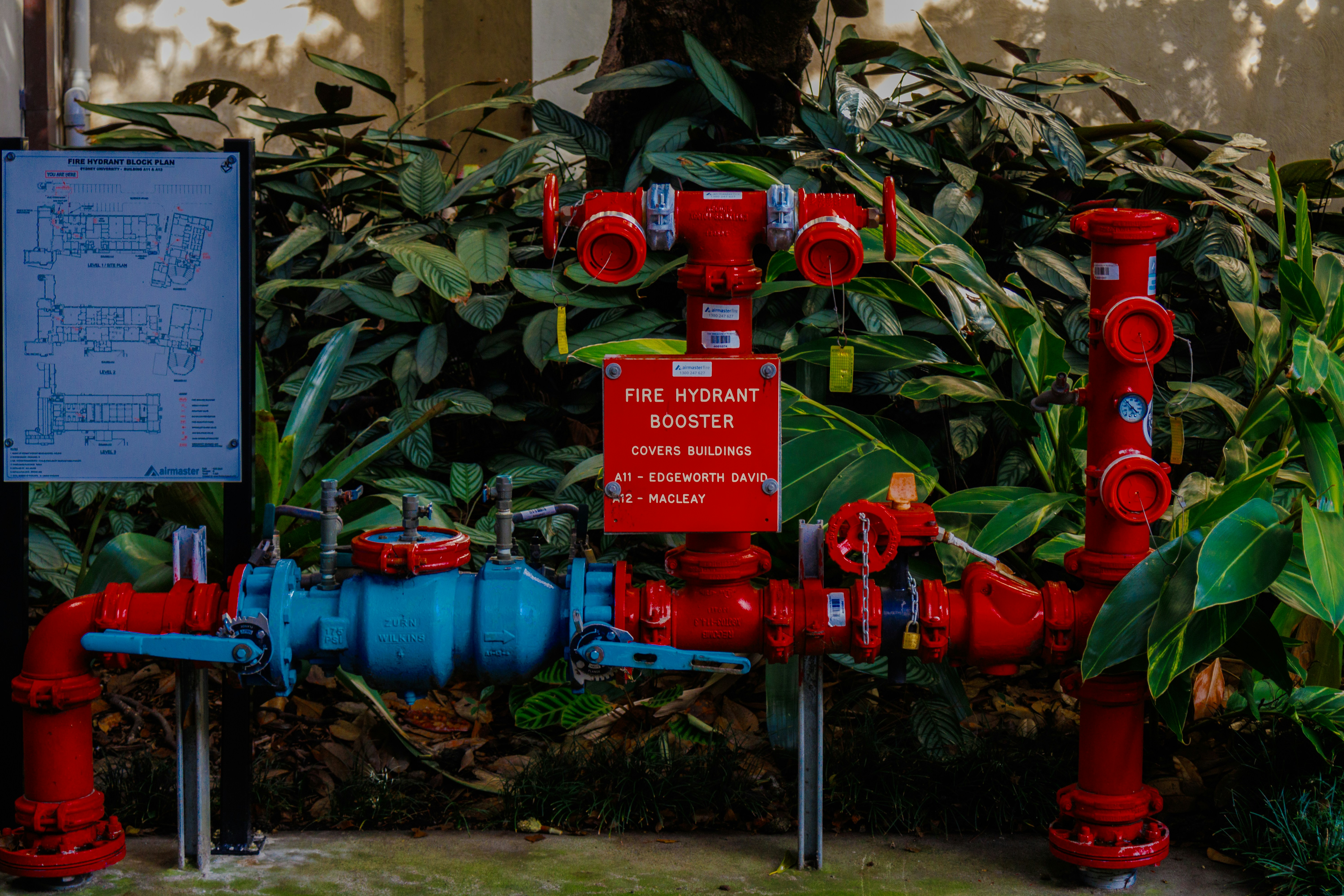 A red and blue fire hydrant sitting in front of a building