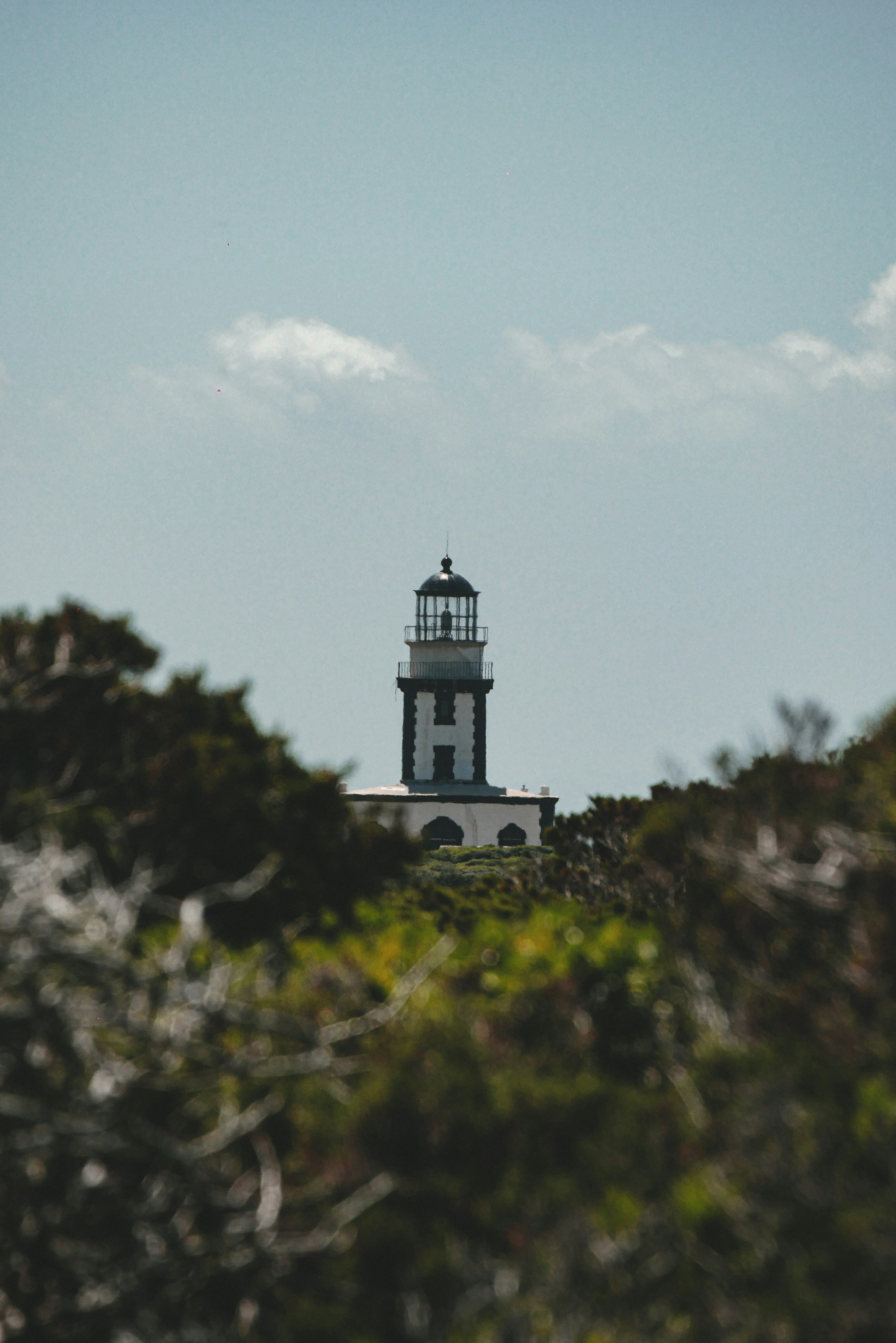A lighthouse on top of a hill surrounded by trees photo – Free ...
