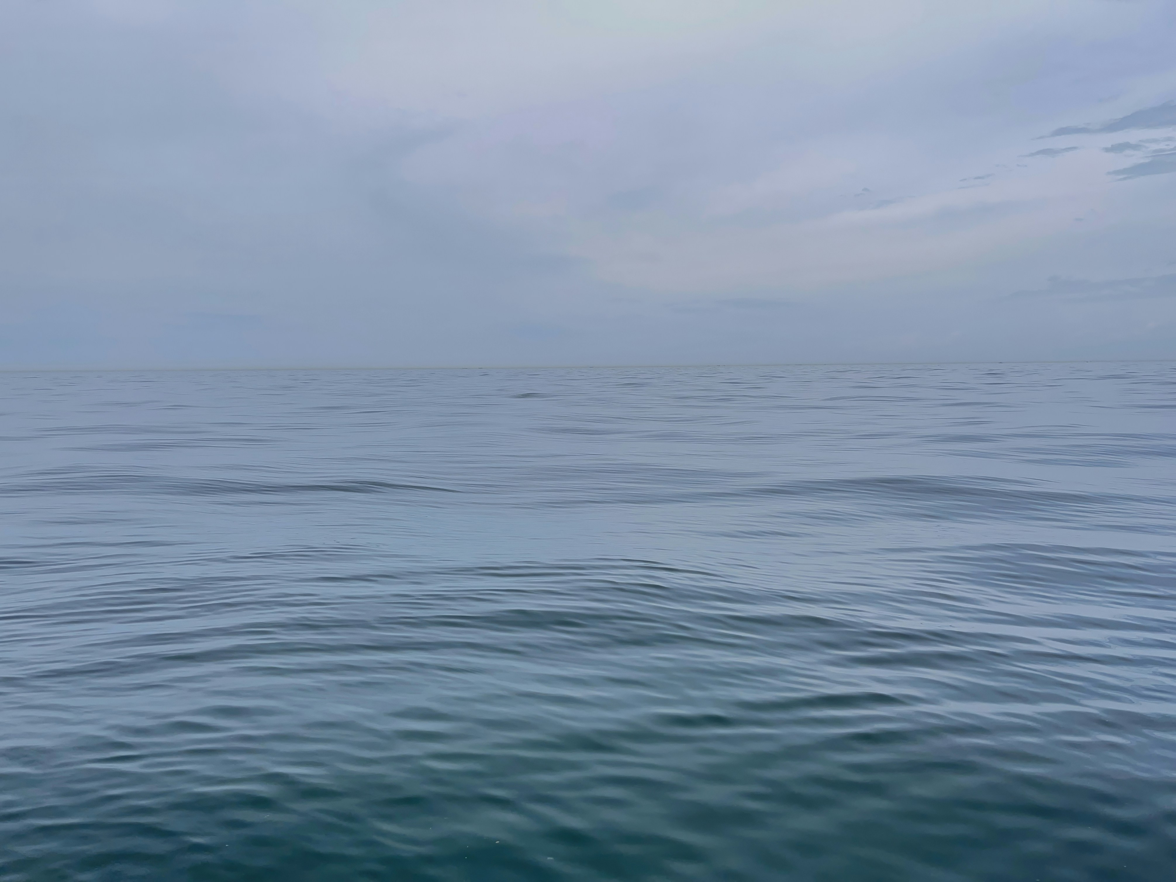 Photo by Buddy AN with Apple iPhone 12 Pro Max