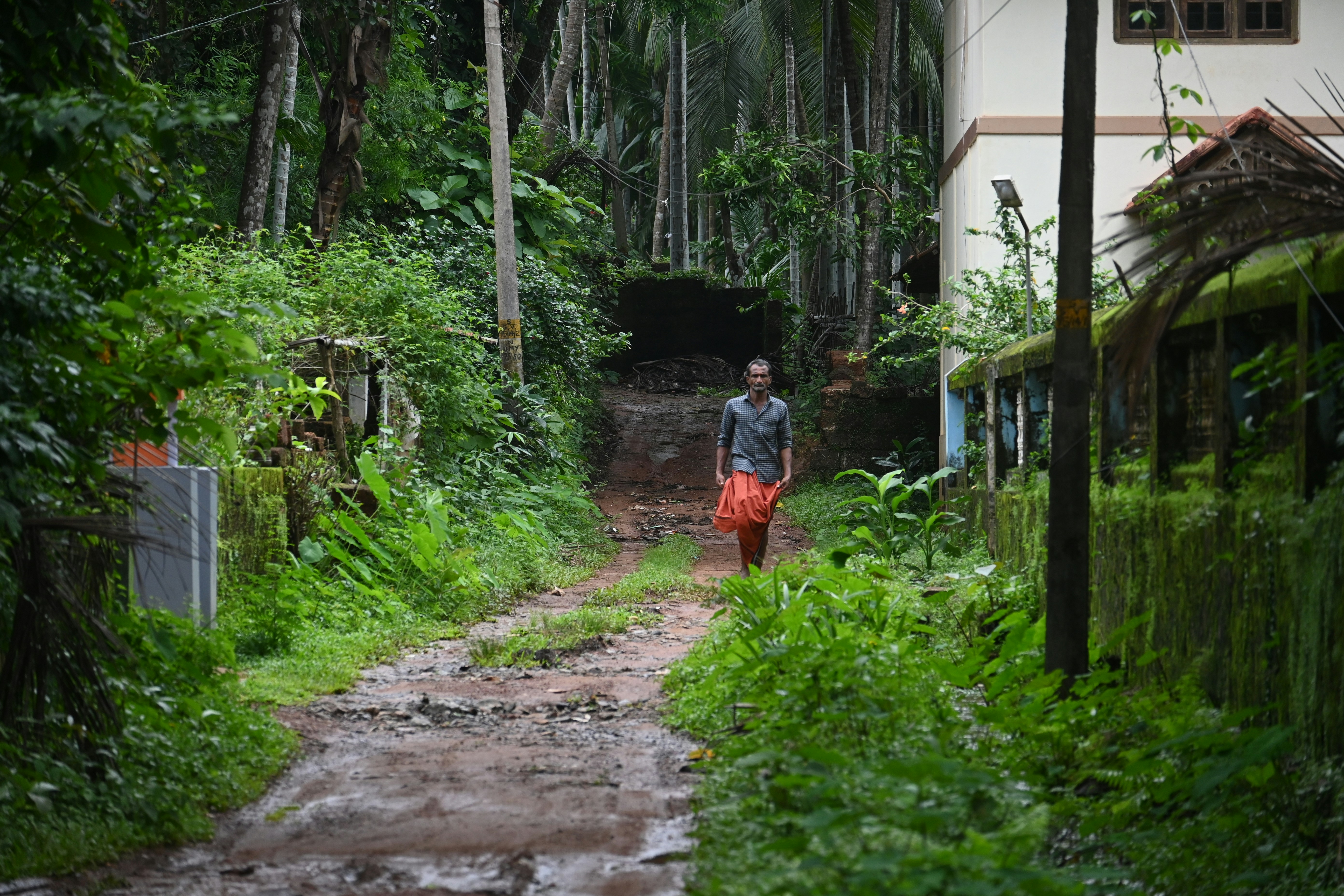 Into the Green Tangle: a lone traveler on a muddy rural path toward a cave