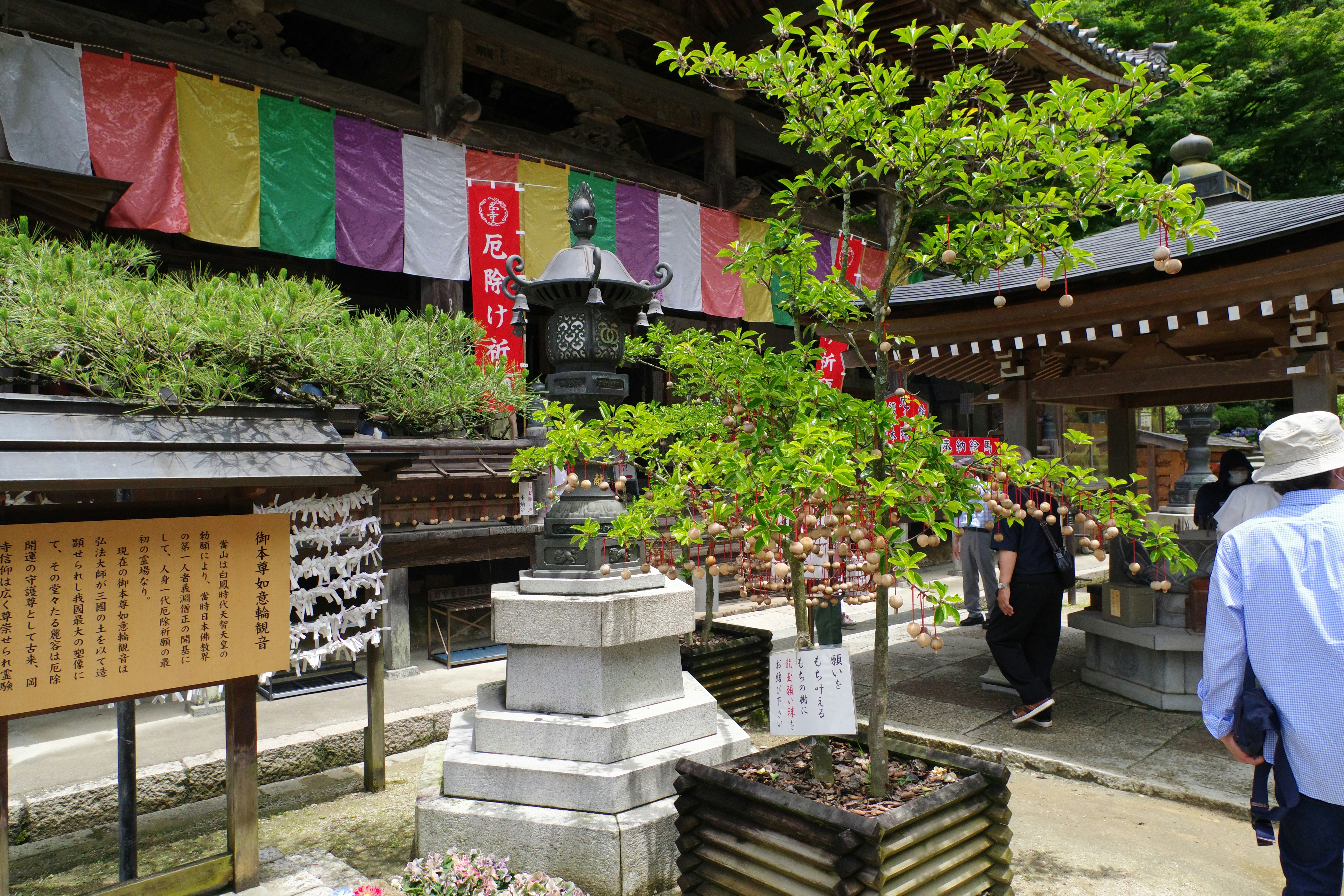 岡寺は、奈良県高市郡明日香村岡にある真言宗豊山派の寺院。山号は東光山。院号は真珠院。本尊は日本最大の塑像である如意輪観世音菩薩。龍蓋寺とも称し、詳しくは東光山真珠院龍蓋寺という。 Oka-dera Temple is a temple of the Bunzan school of the Shingon sect located in Oka, Asuka-mura, Takaichi-gun, Nara Prefecture. The honorific mountain prefix is Tokozan. The name of the temple is Pearl Temple. The principal image is Nyoirin Kanzeon Bosatsu, the largest plastic statue in Japan. It is also called Ryugai-ji Temple, and for details, it is called Tokozan Pearl Temple Ryugai-ji Temple.