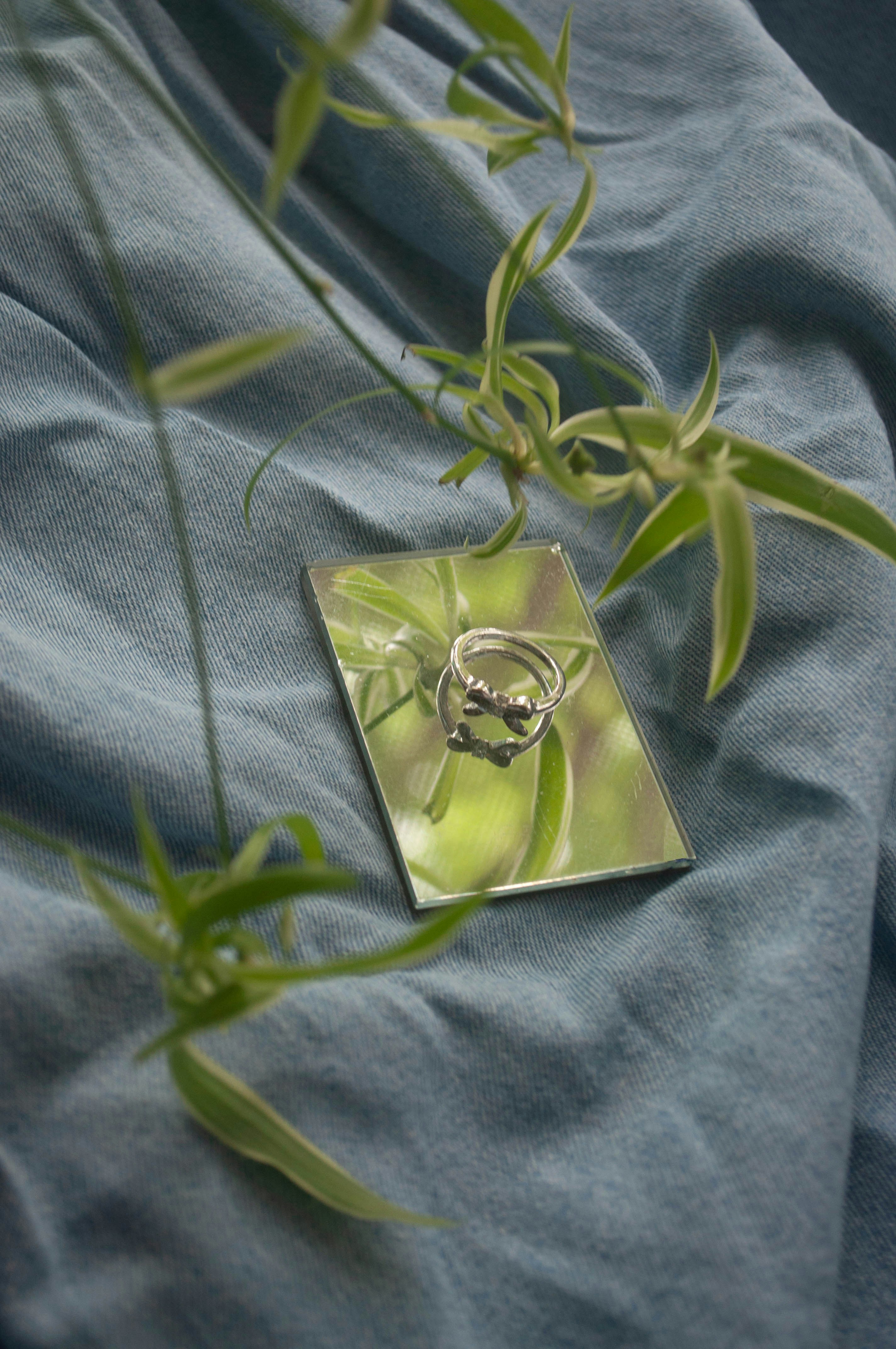 Ribbon bow shape silver ring reflecting in the mirror laying on denim cloth background surrounded by spider plants