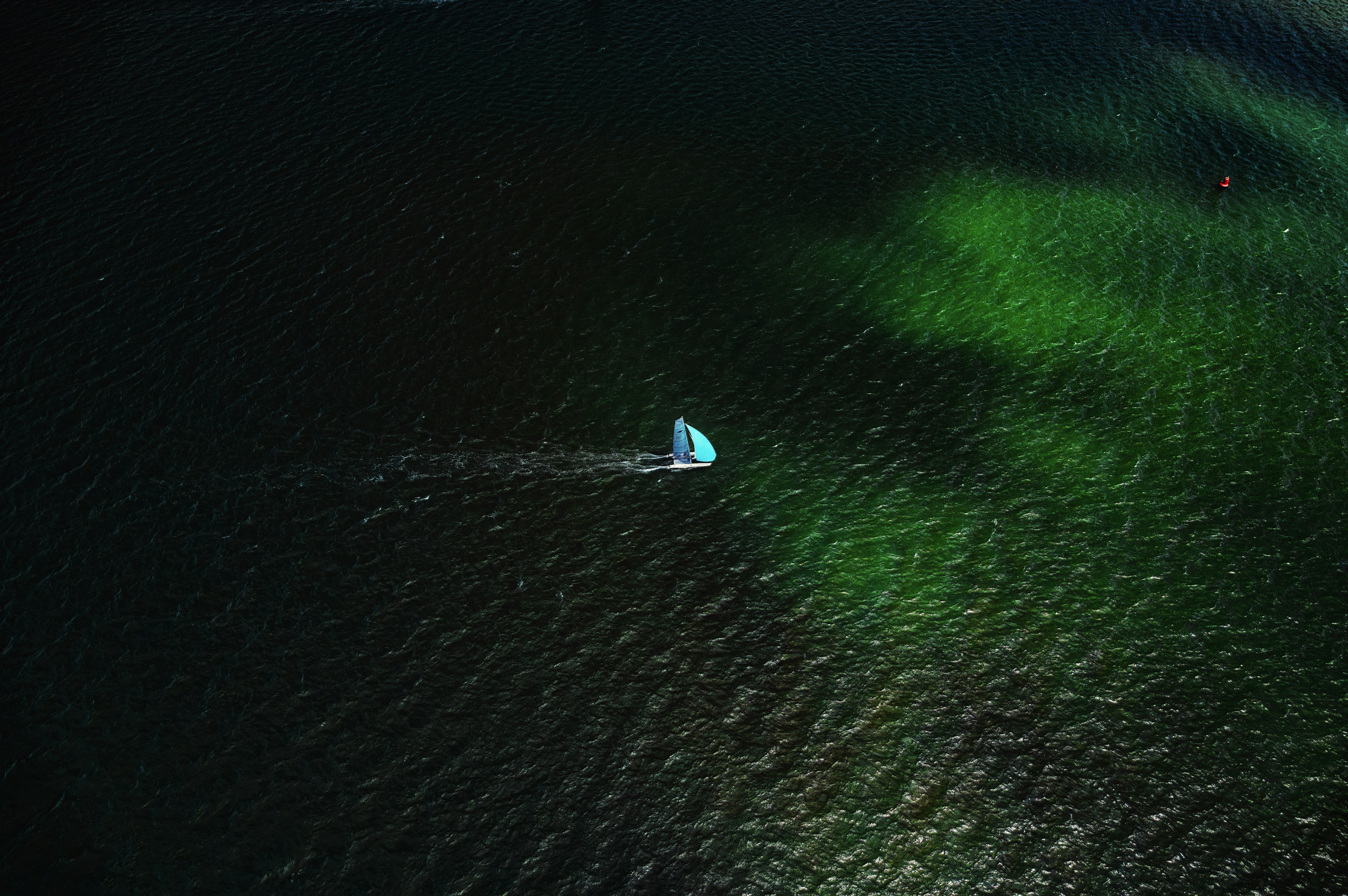 Blue Sail Against Emerald Currents: Aerial Scene of a lone windsurfer