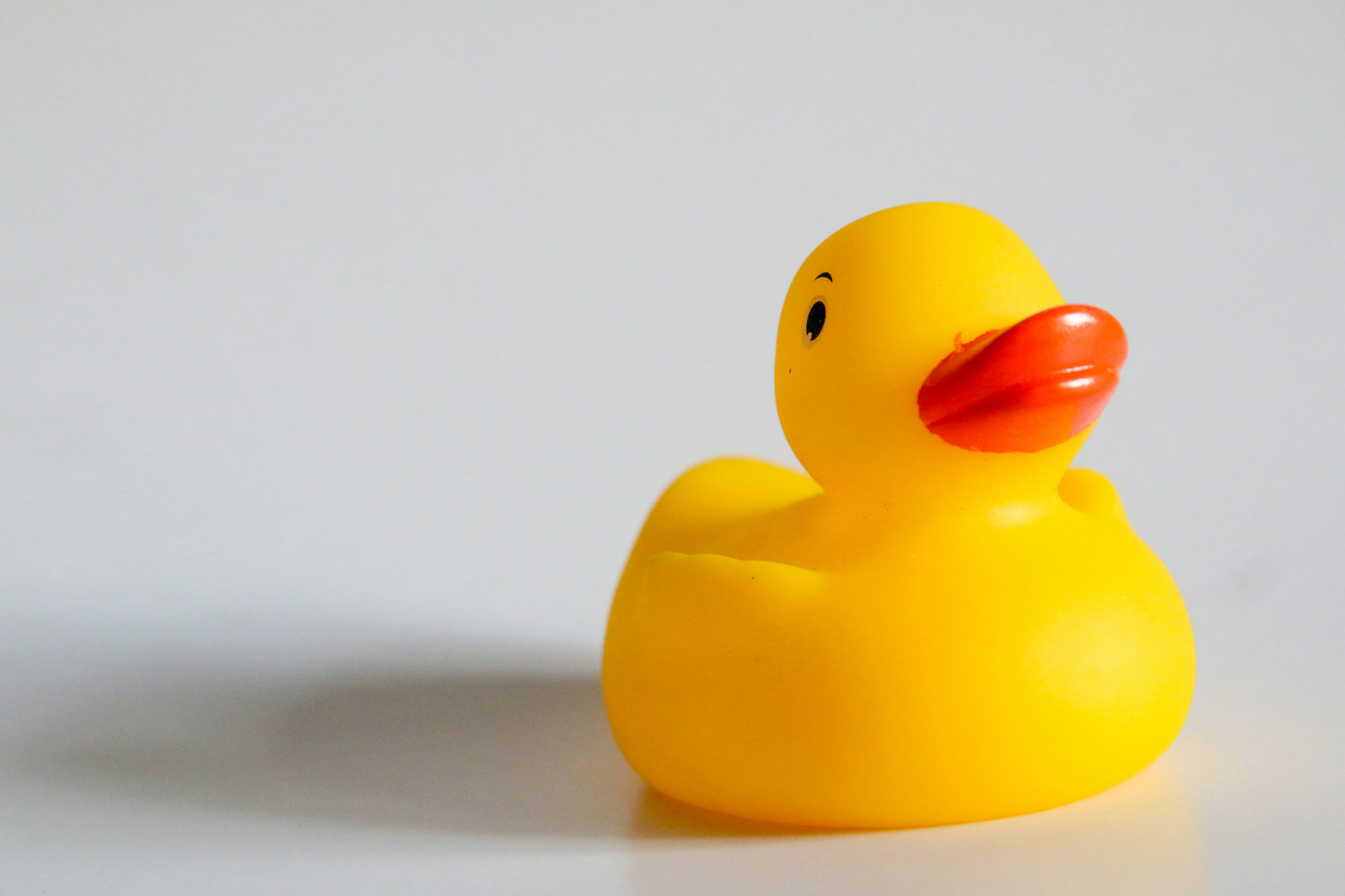A yellow rubber ducky sitting on a white surface photo – Free Animal ...