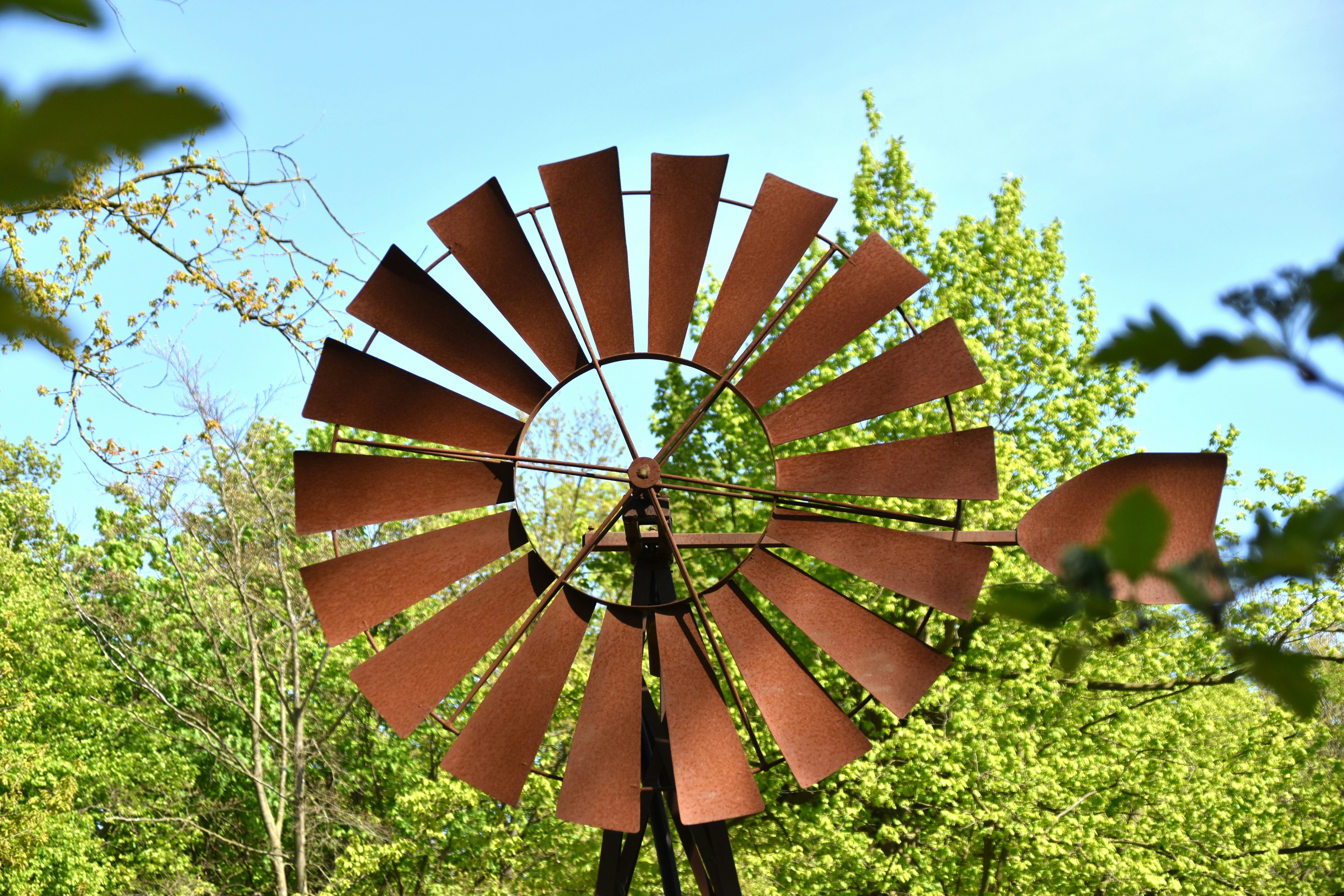 Photo by Waldemar Brandt with Nikon D5600