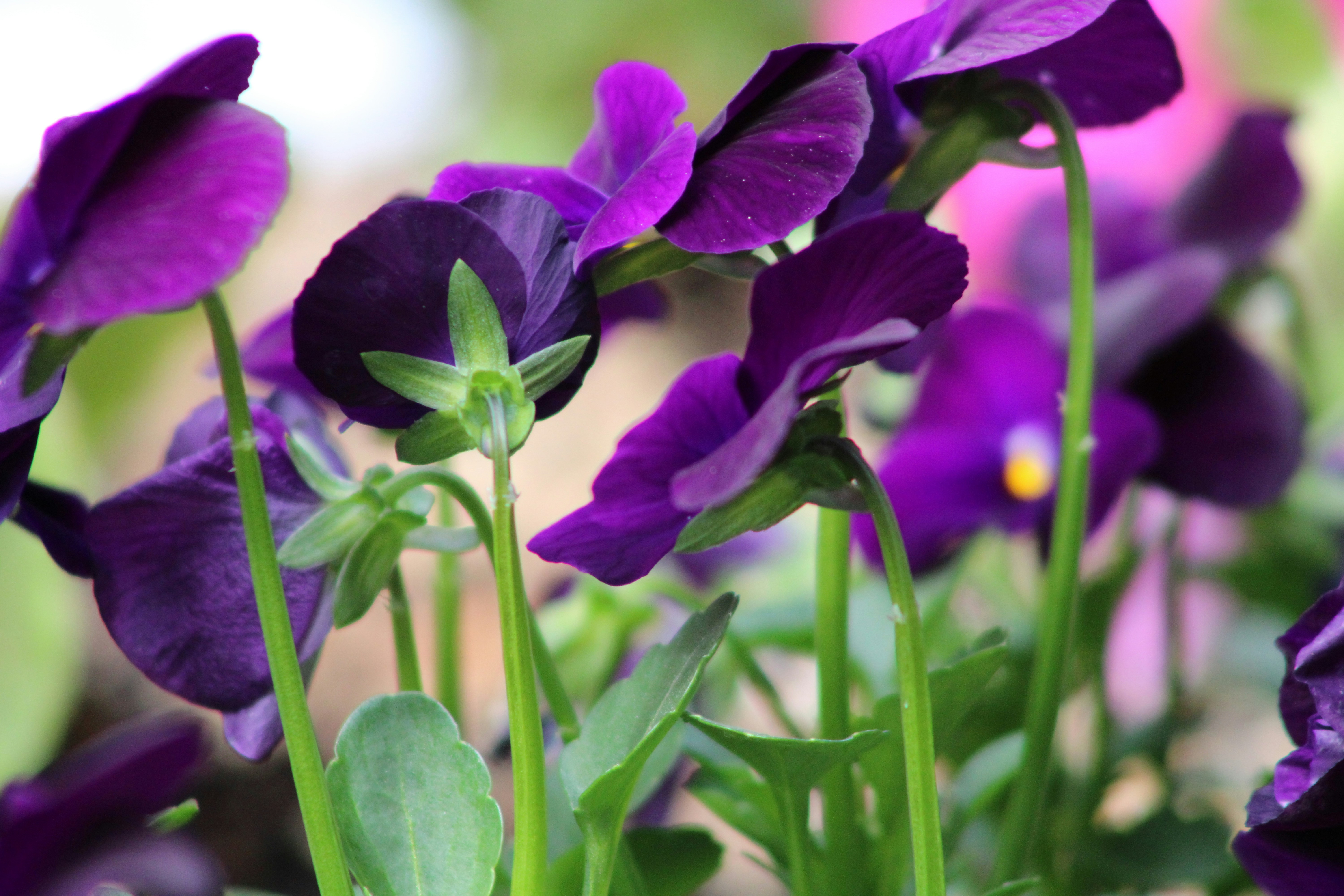 Maggie Andrews (@missmae02) | Komunitas Foto Unsplash