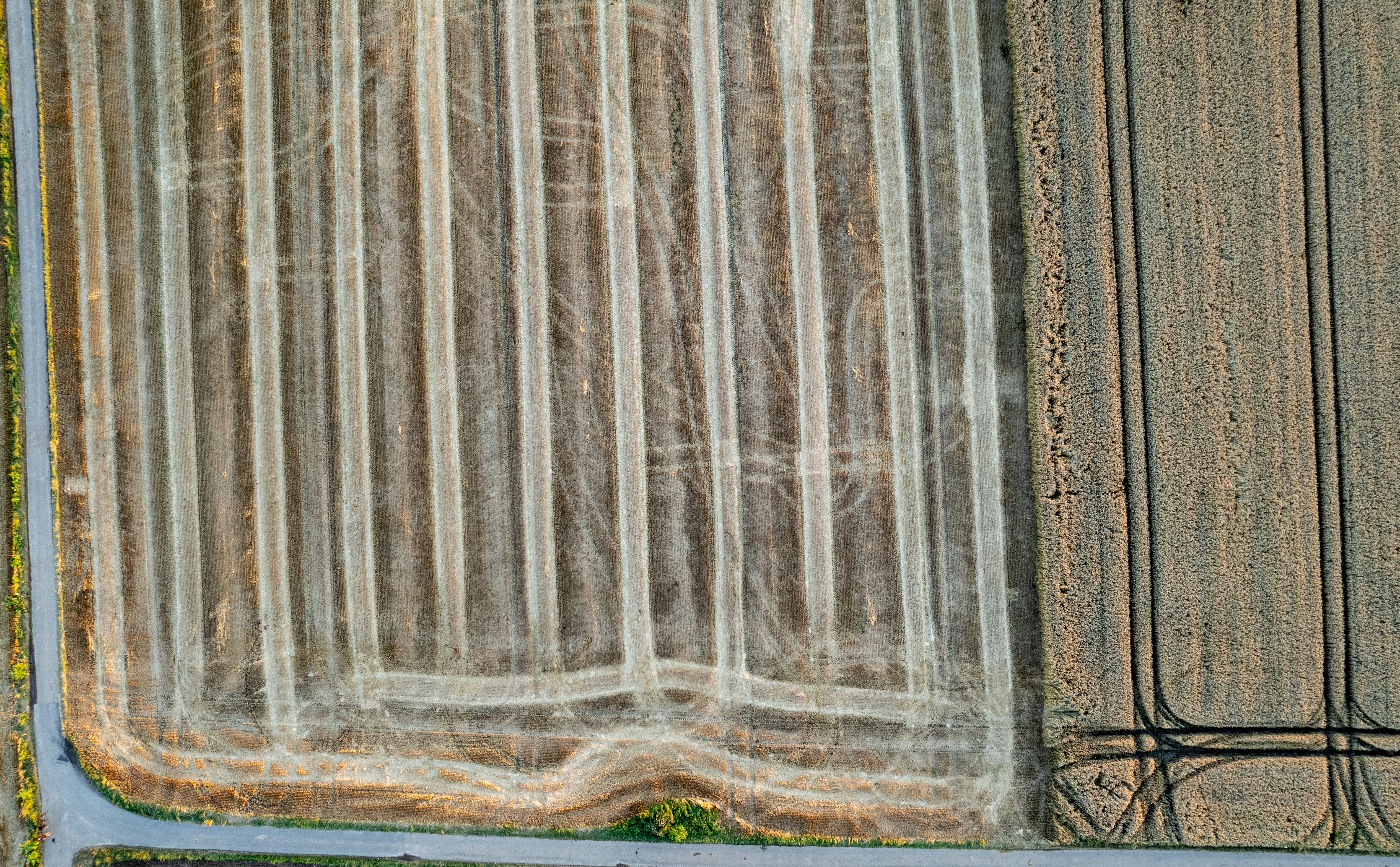 Aerial Corridor: Parallel Lines and Field Edges from Above