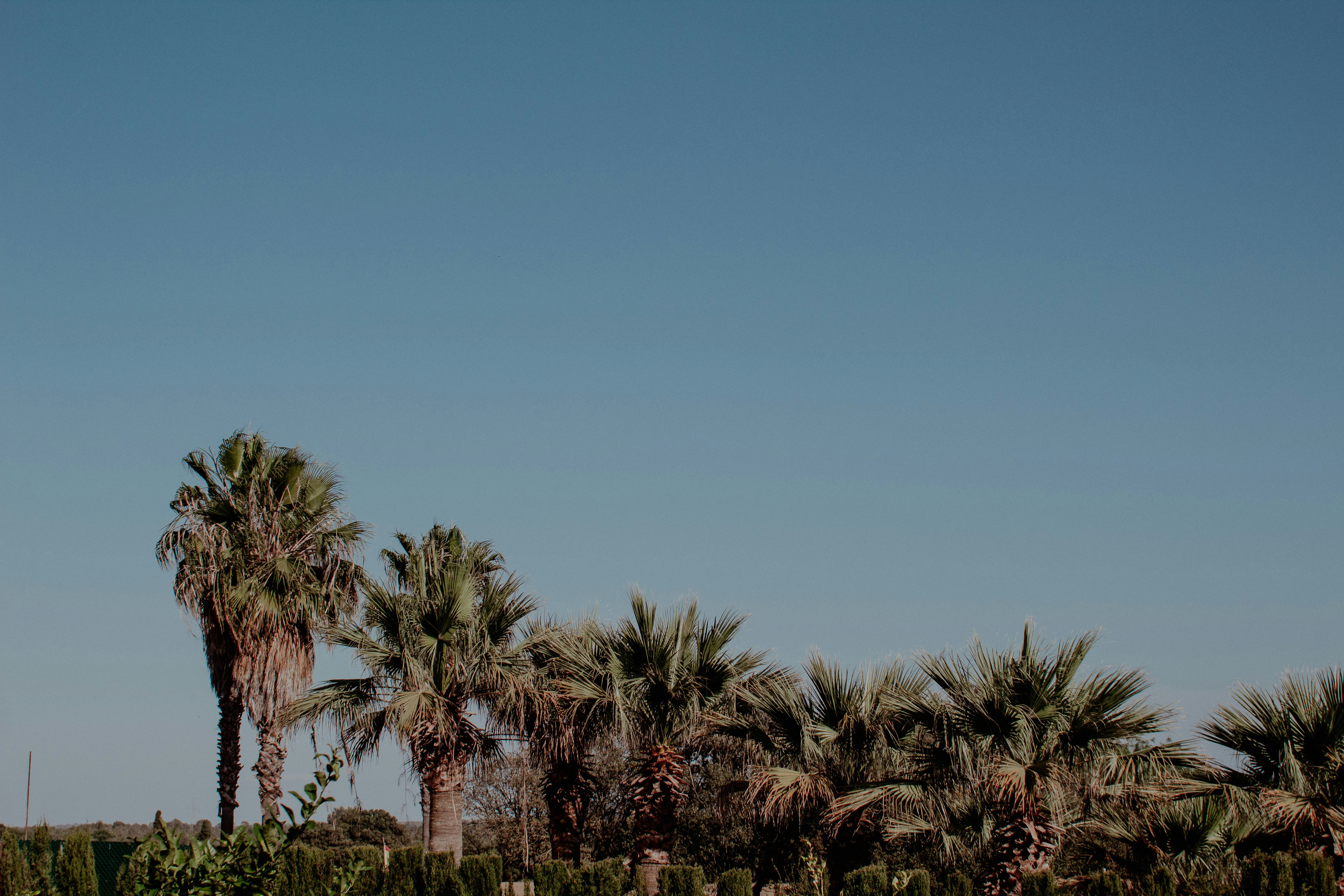 Photo by Nacho A with Canon EOS 1300D