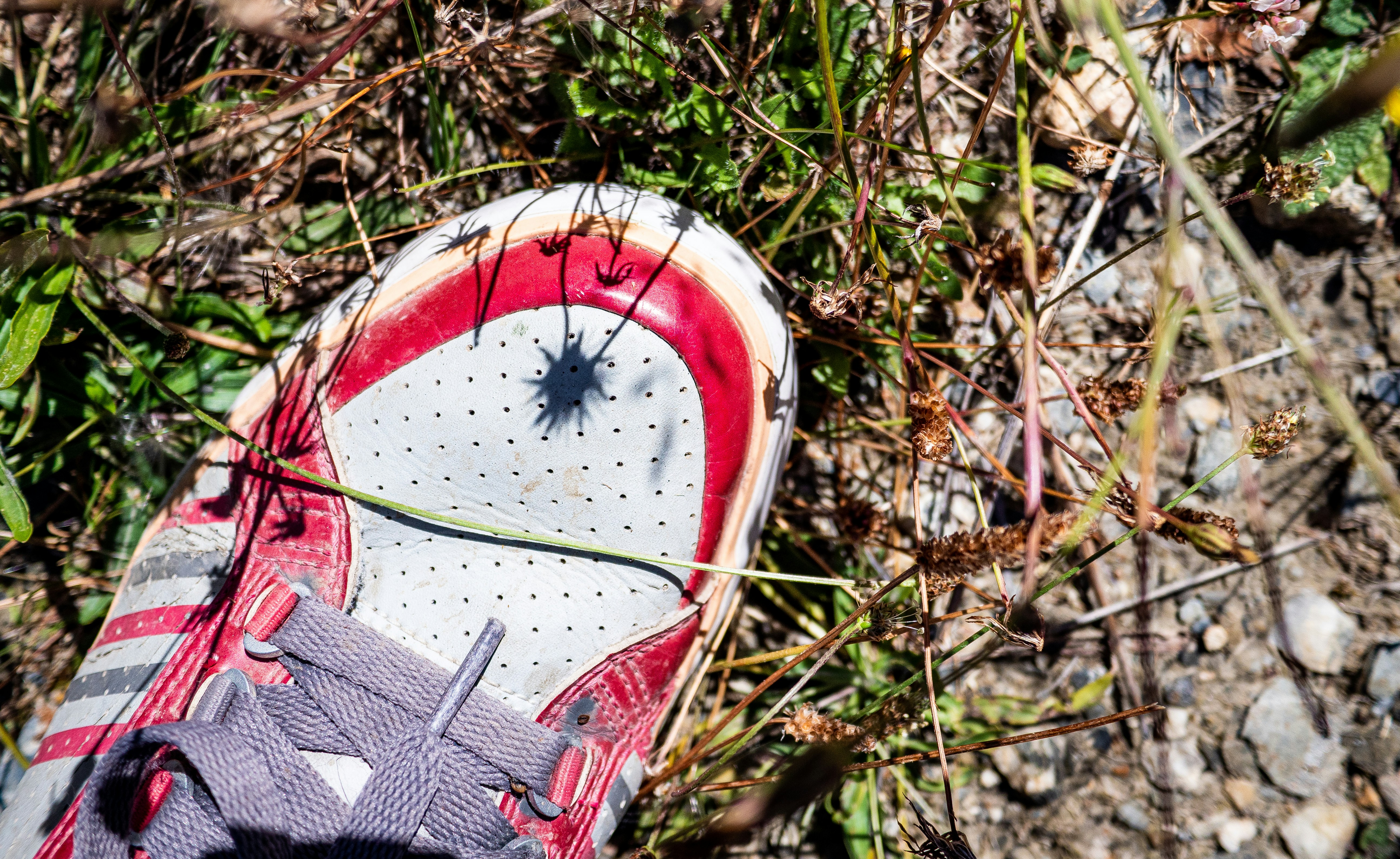 Starred Toe: A Red-White Sneaker Anchored in Gravel and Grass