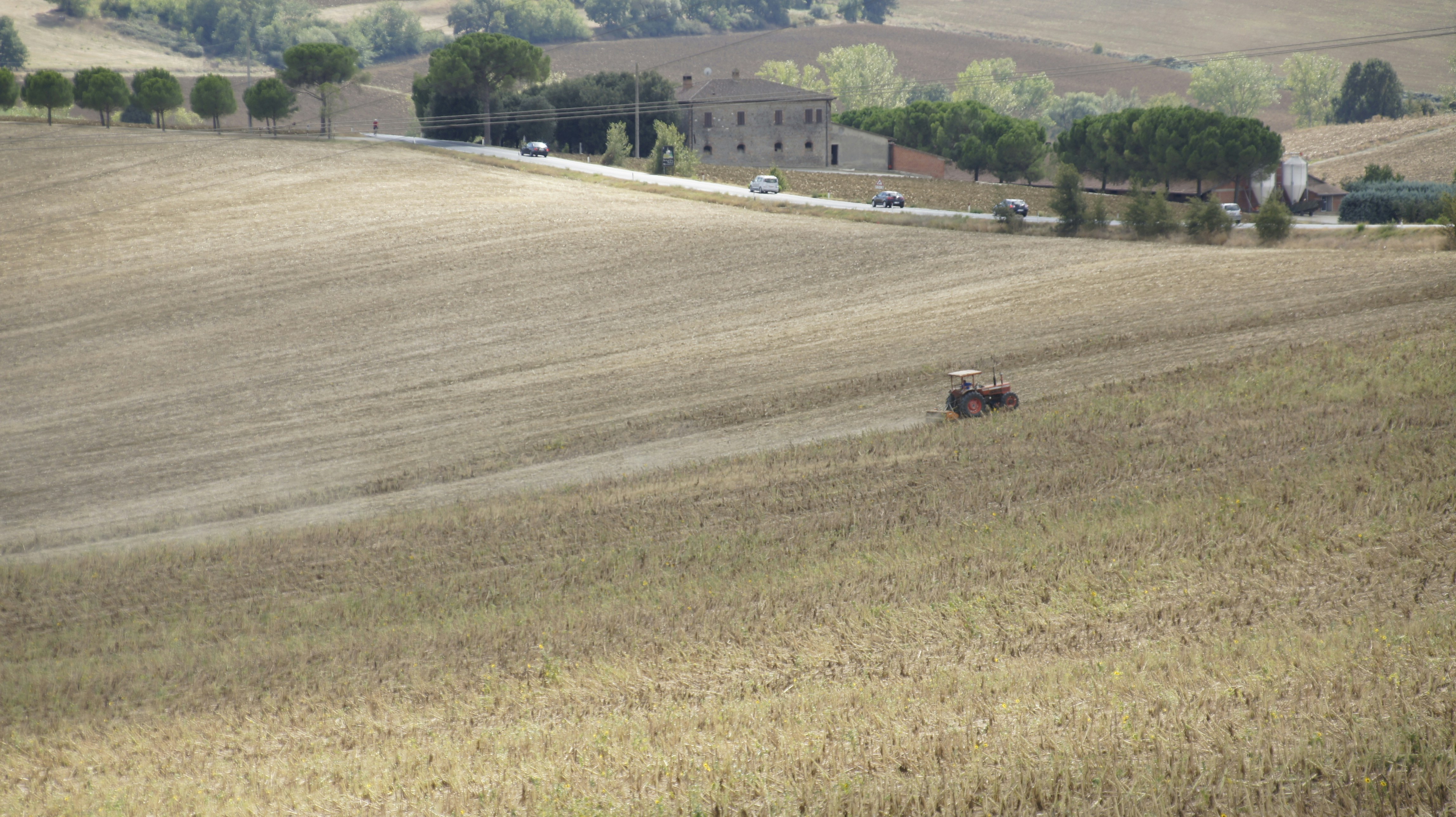 Red Harvester on the Saffron Hills: A Quiet Farm Lane