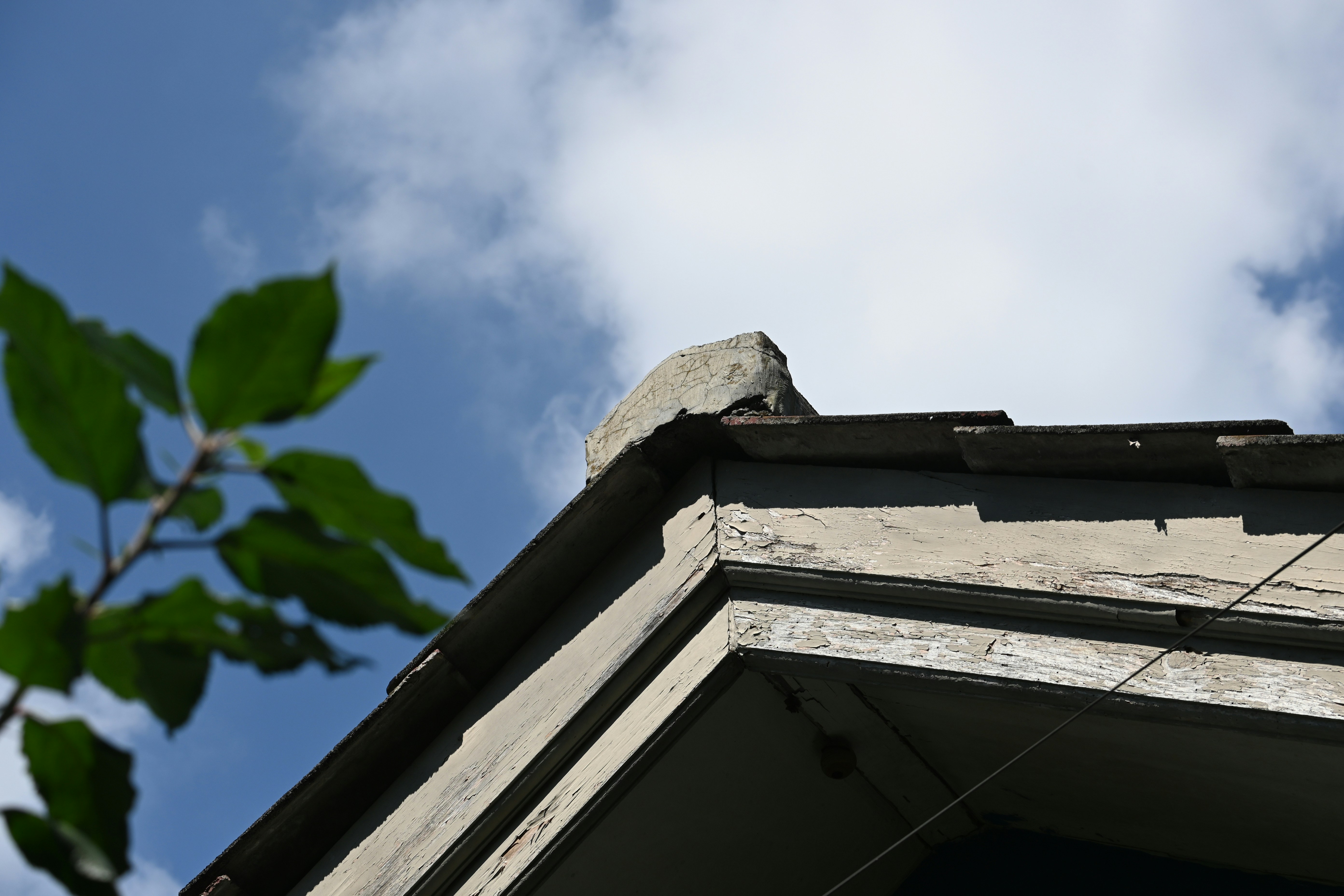 Ridgeline in a Quiet Sky: Weathered Cornice Framed by Leaves