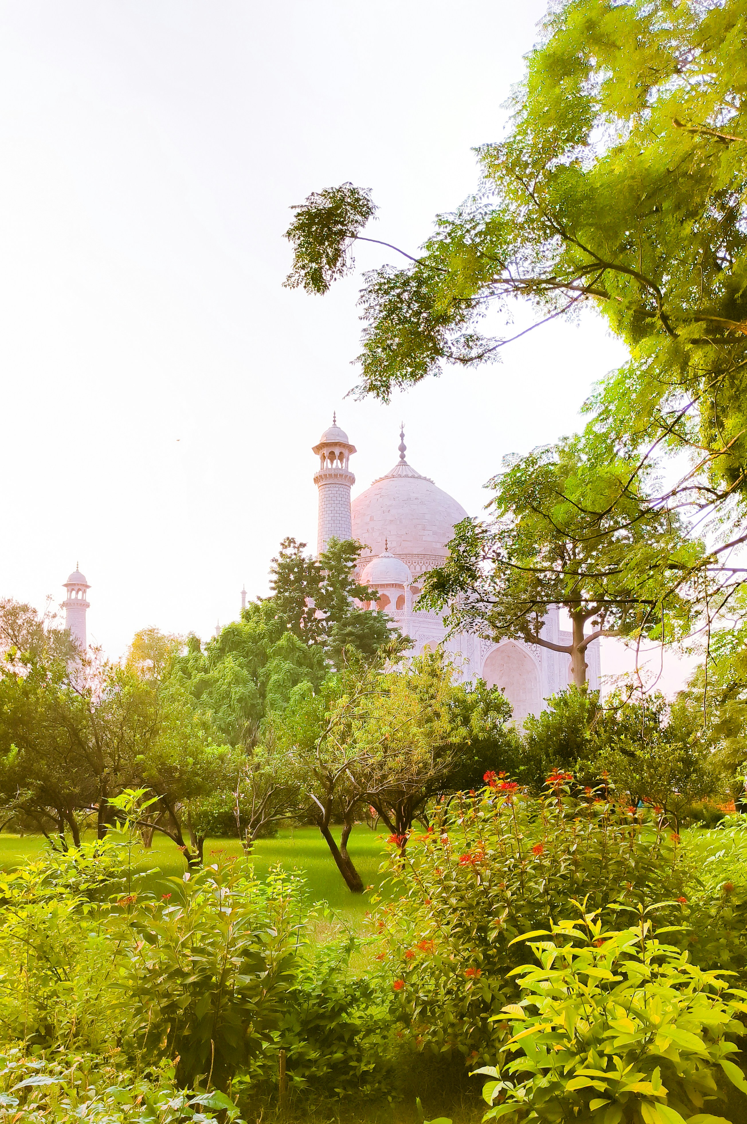 Sunlit garden foreground with lush greenery frames a distant white domed structure peeking through trees.