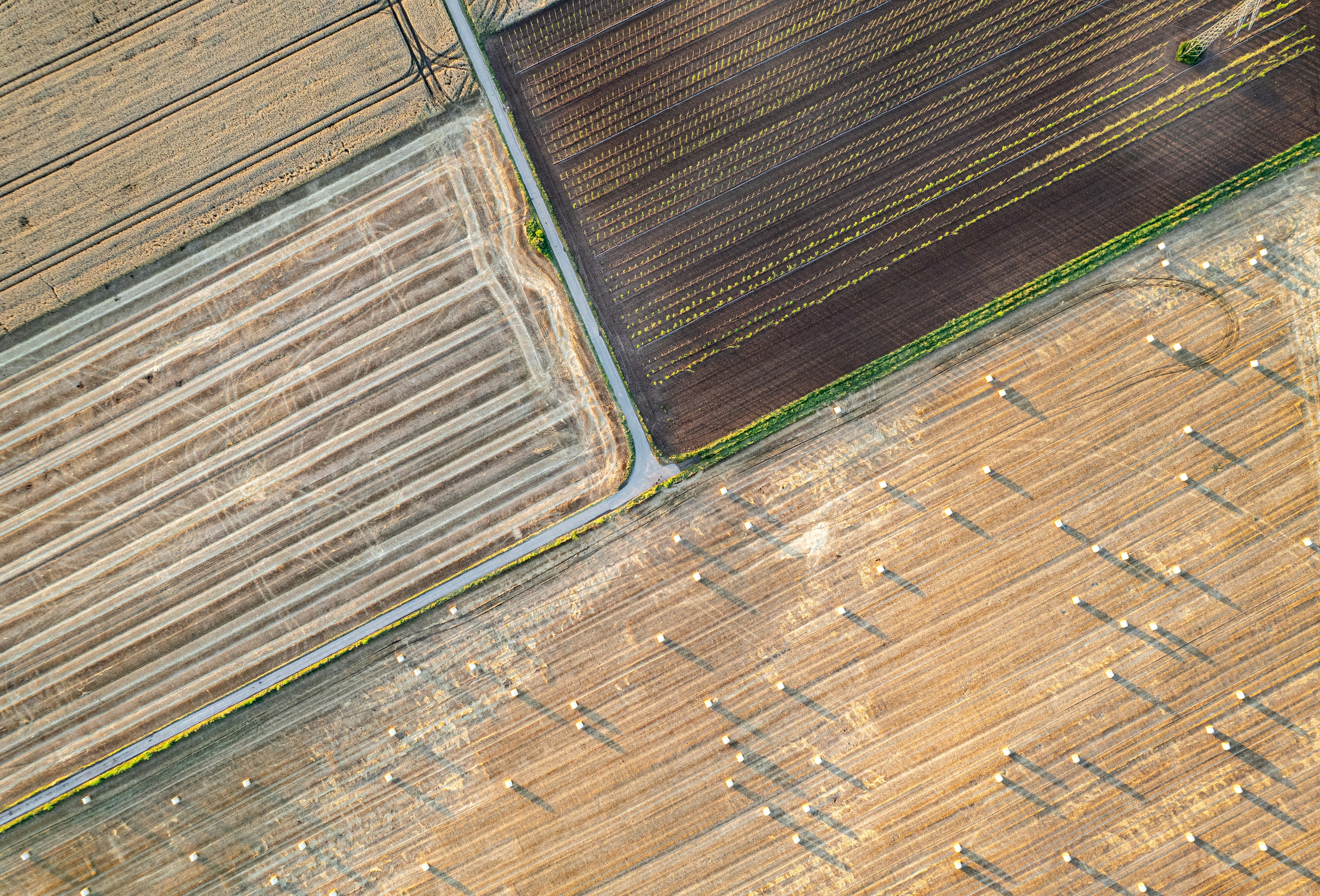 A bird's eye view of a farm land photo – Free Ladenburg Image on Unsplash