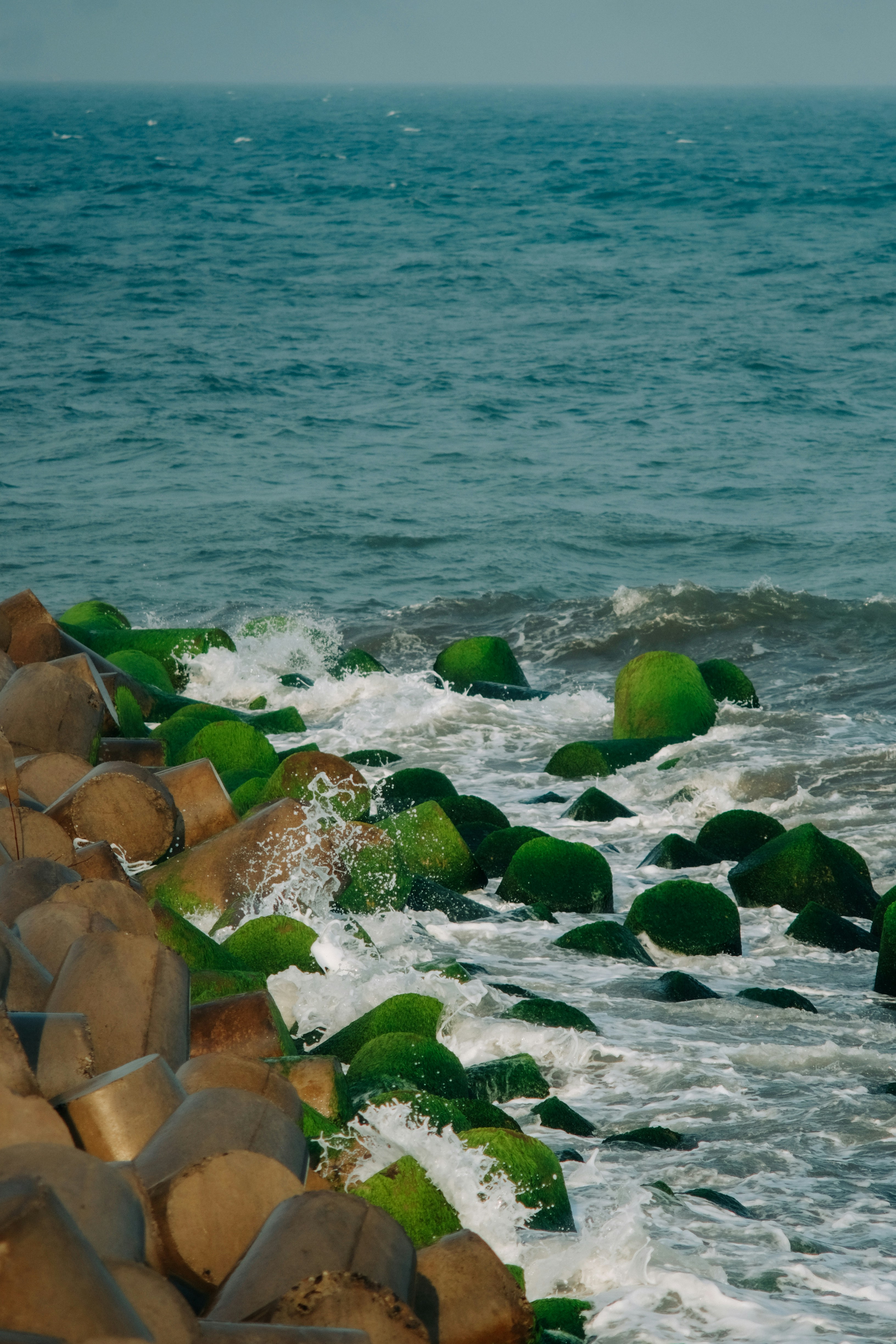Emerald Breakwater: Moss-Covered Rocks Guard a Teal Sea