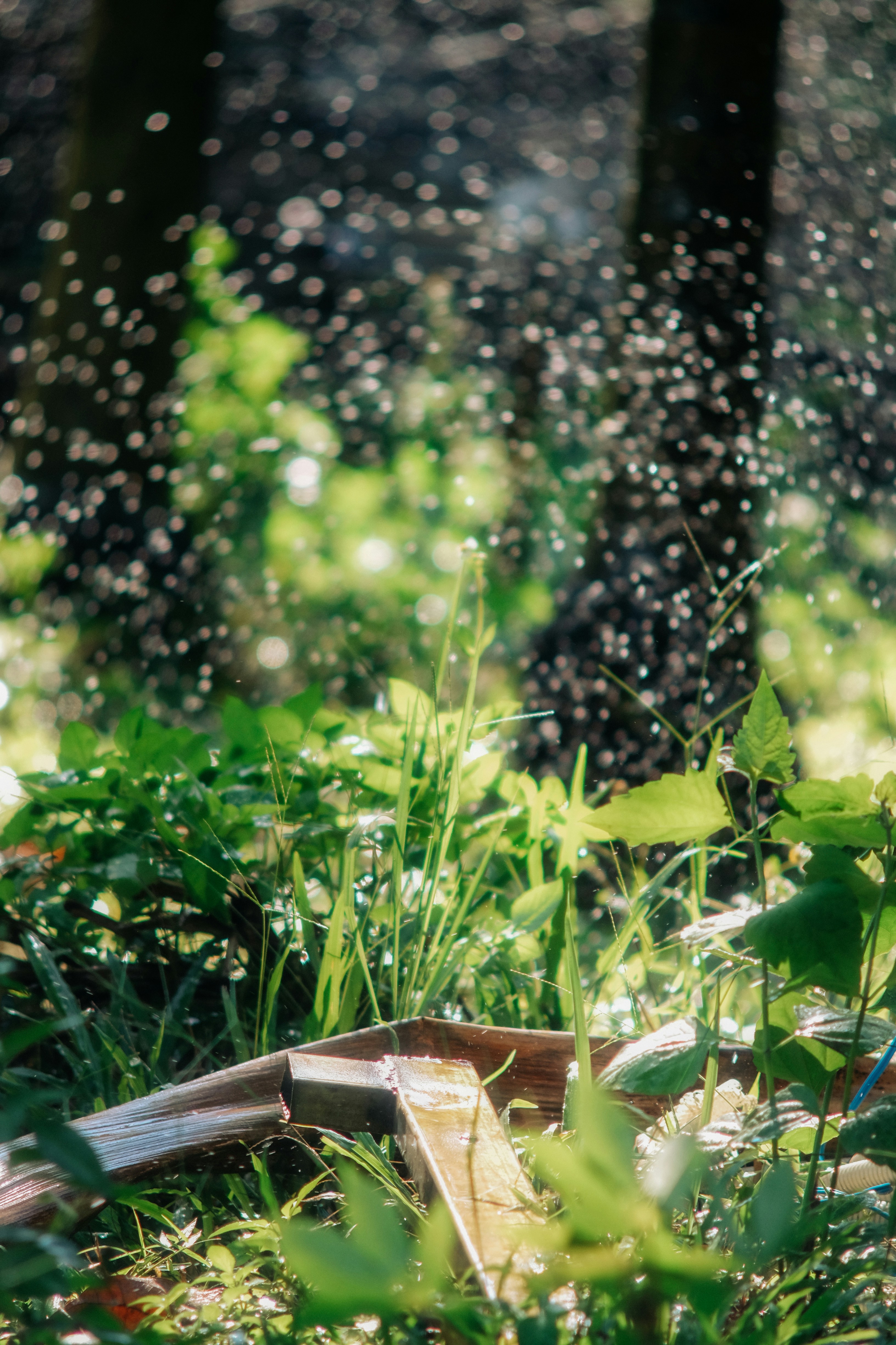 A fire hydrant spewing water into a forest photo – Free Plant Image on ...