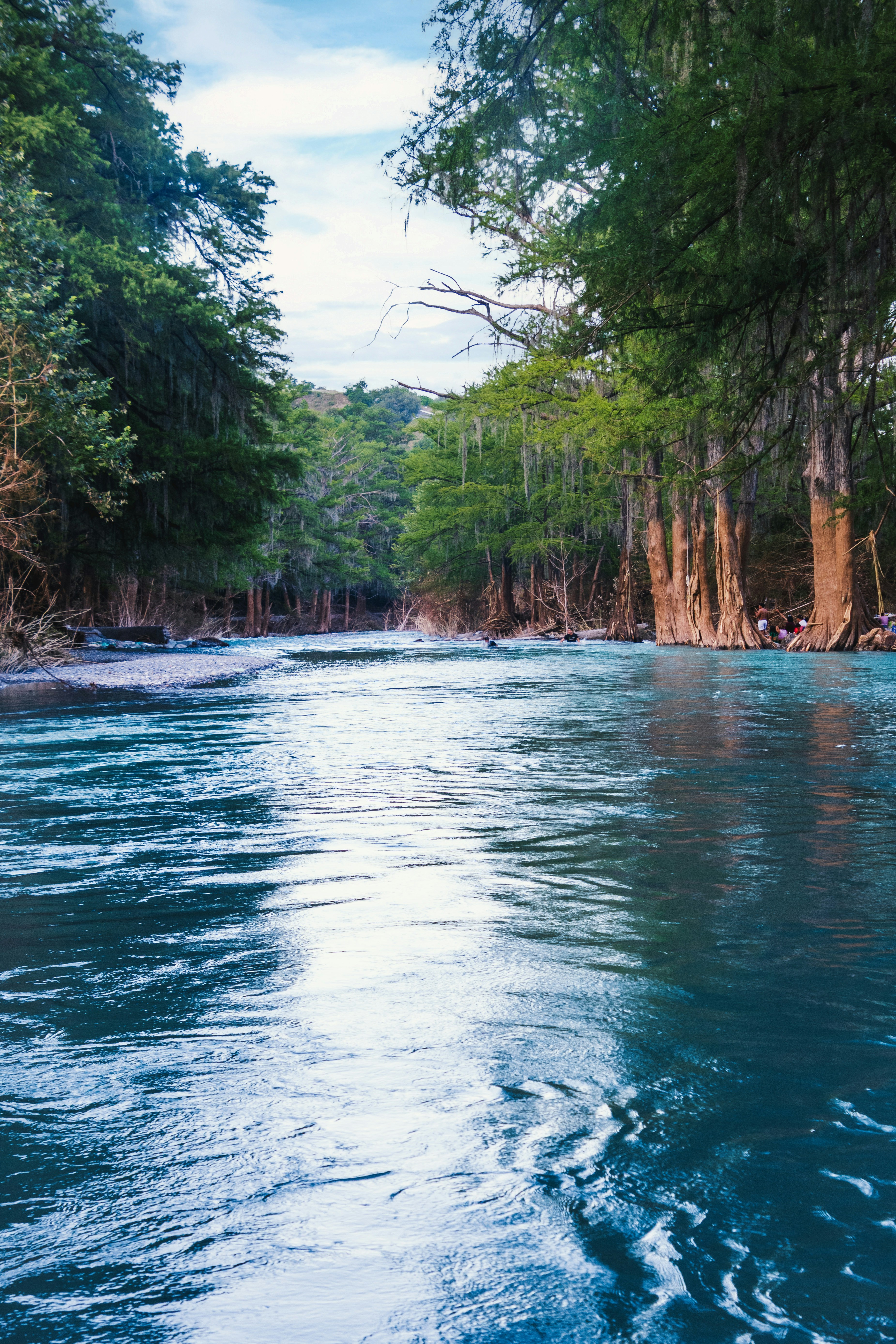 River Gorge in Teal Light: A Water-Level Moment Through the Forest
