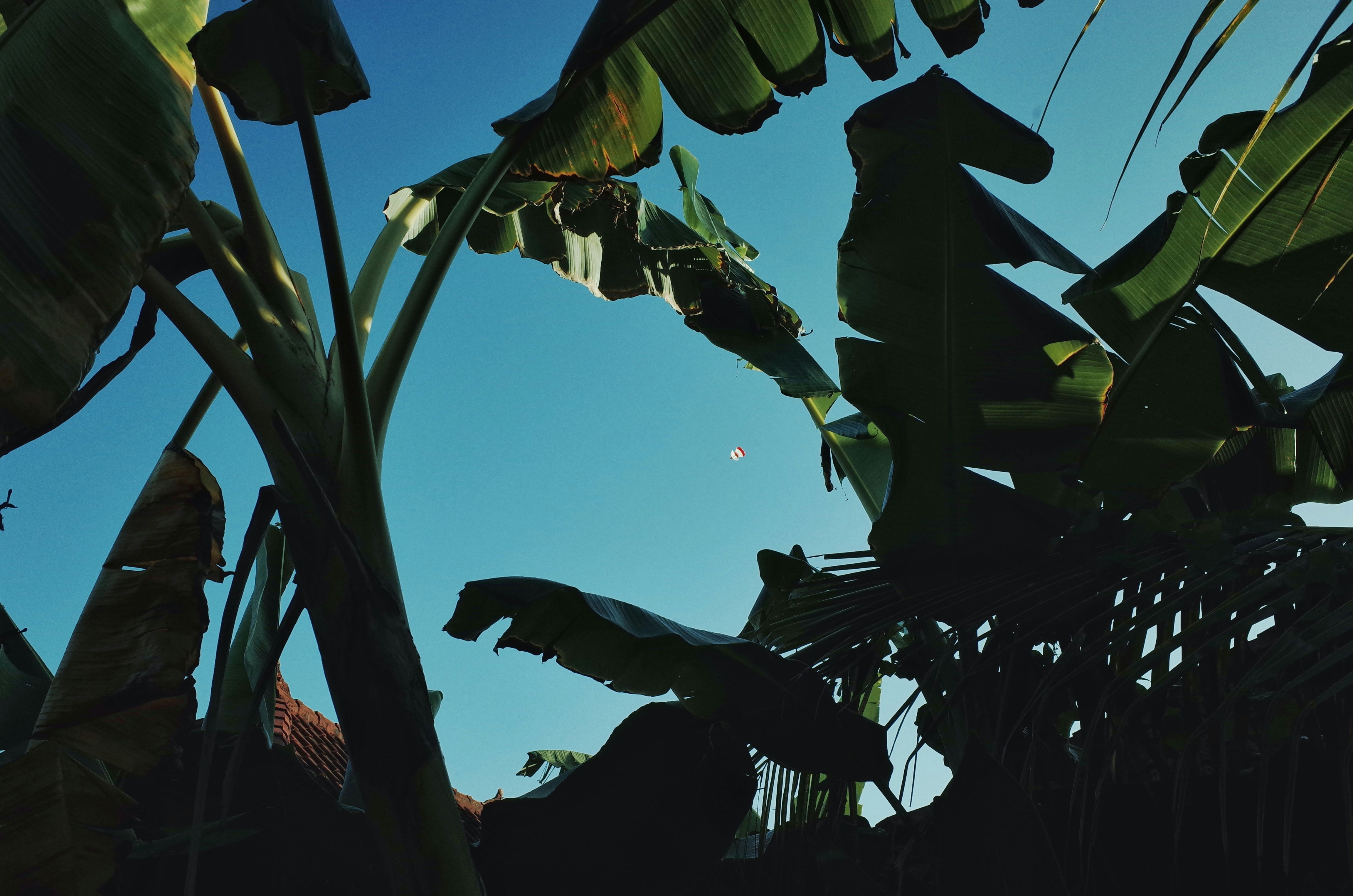 Photo by Elena Jiang with Ricoh GR II