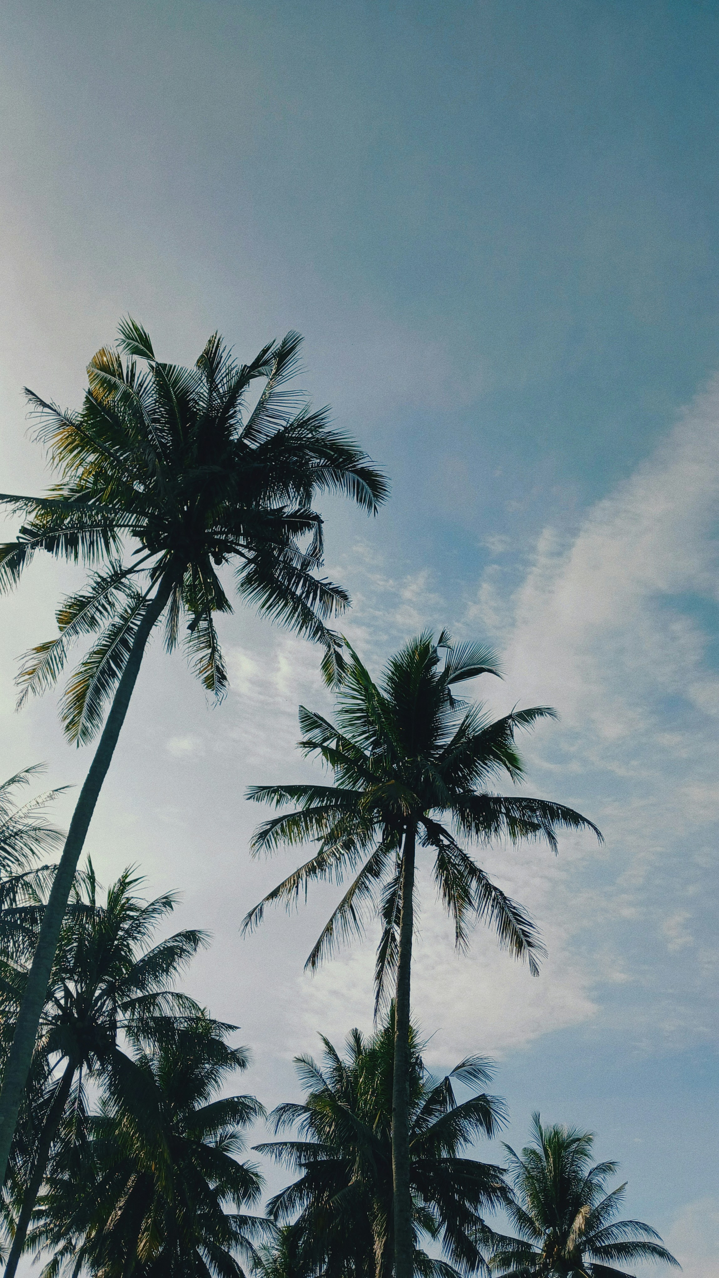 Tegar Pratama (@tegarpratamaaa) | Comunidade de fotos da Unsplash