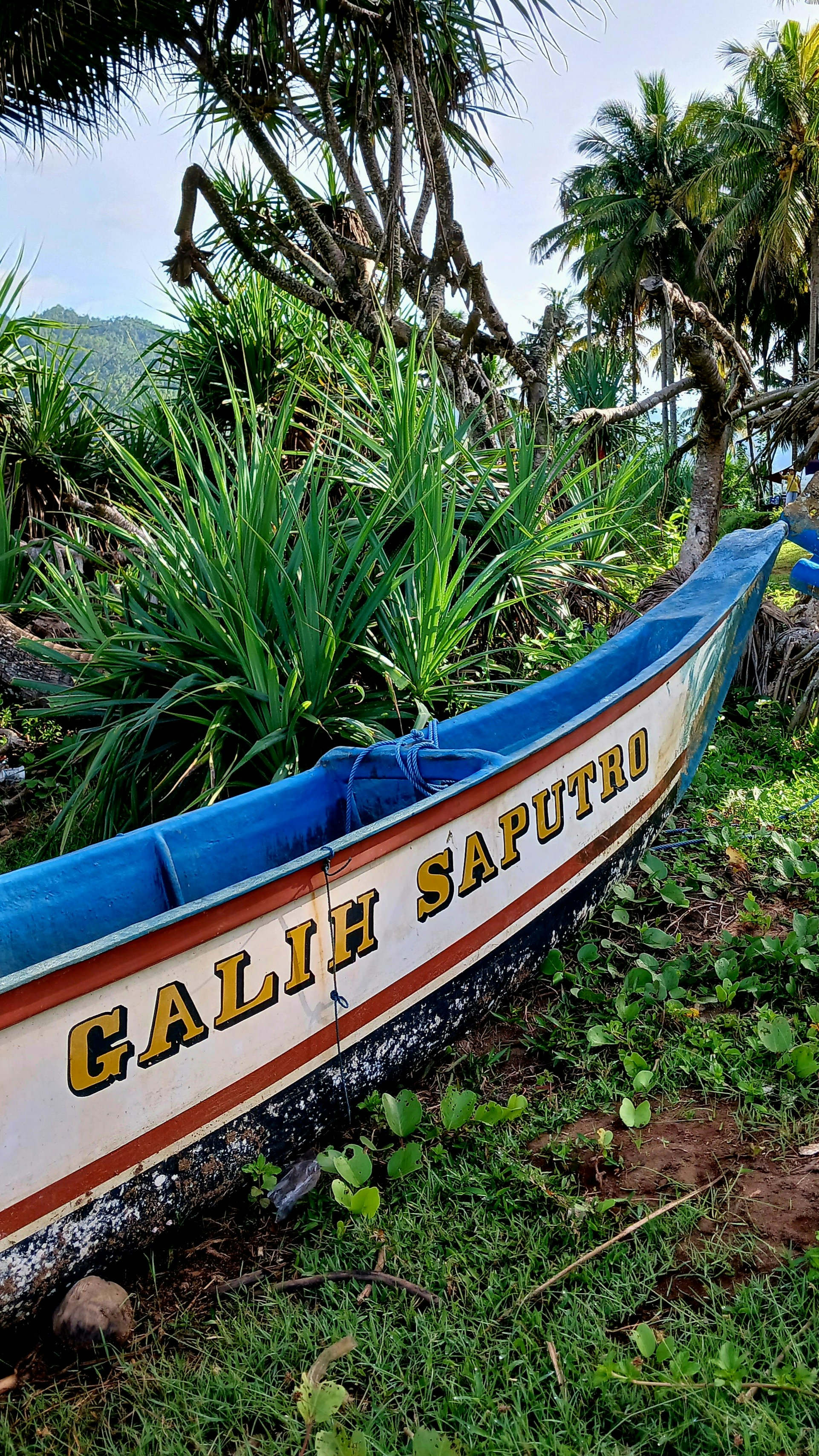 Tegar Pratama (@tegarpratamaaa) | Comunidade de fotos da Unsplash