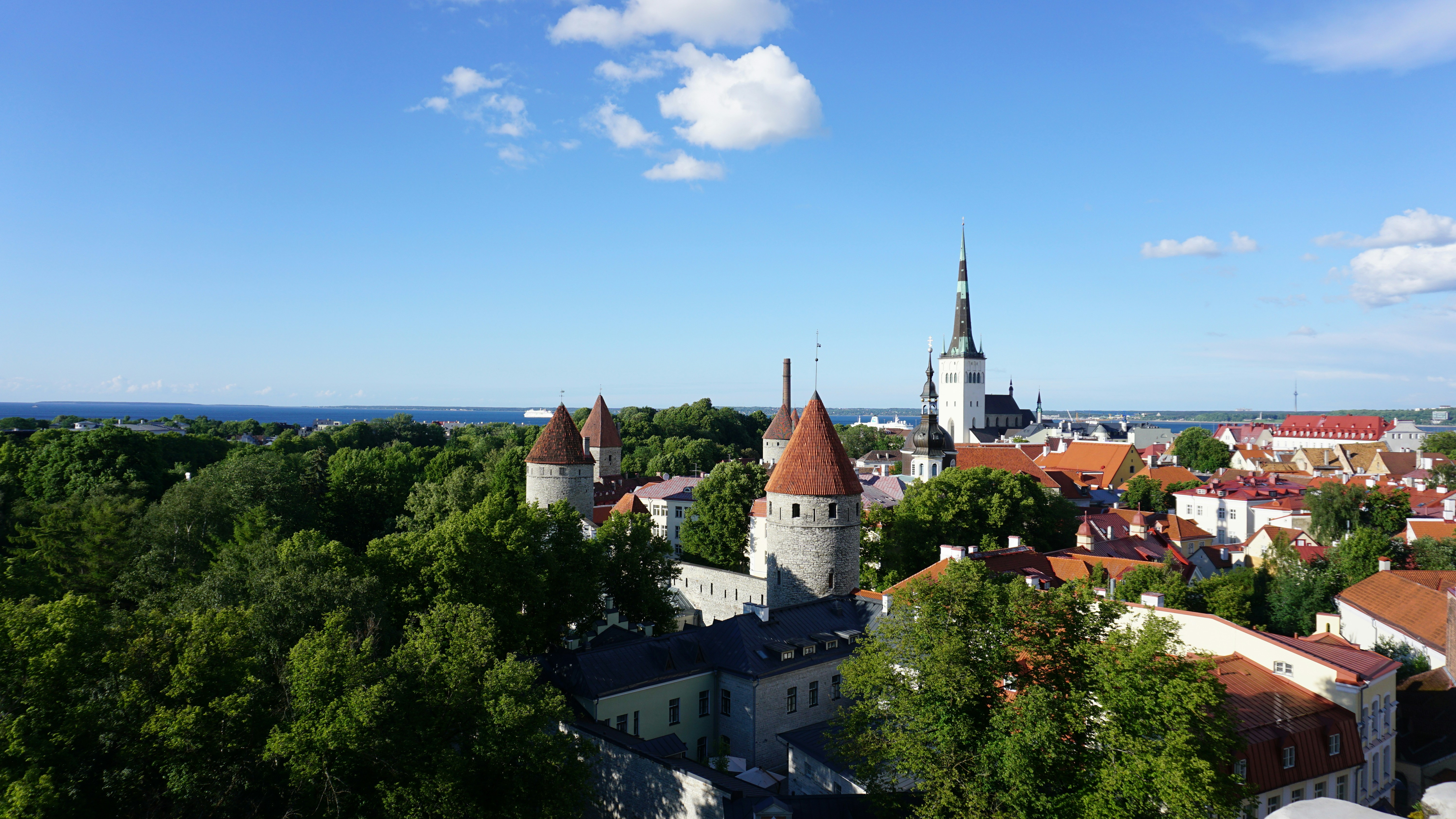 Photo by Marek Lumi with Sony Alpha 6000