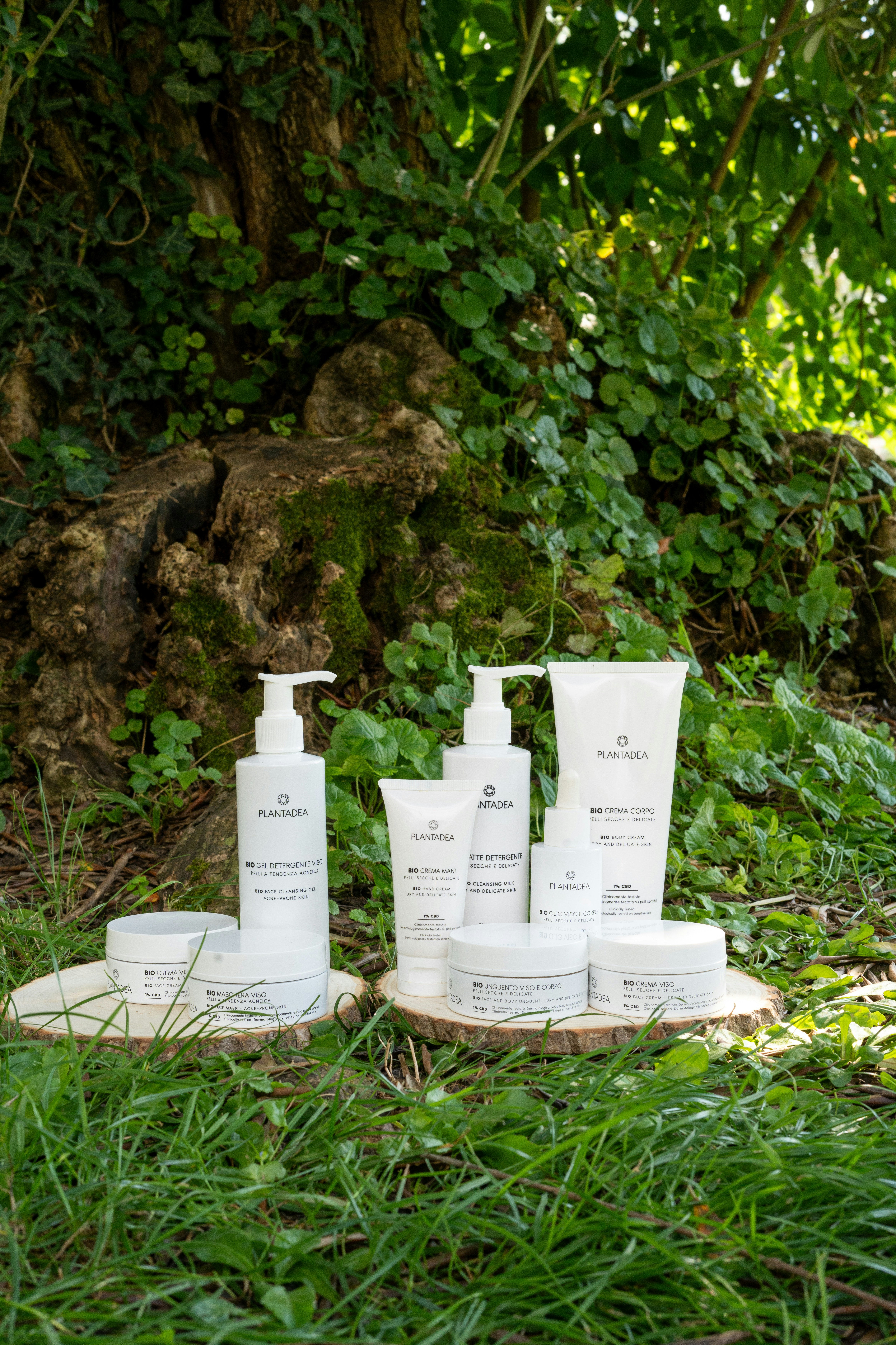 Mossy Stump Studio: A Quiet Skincare Still Life in Dappled Light