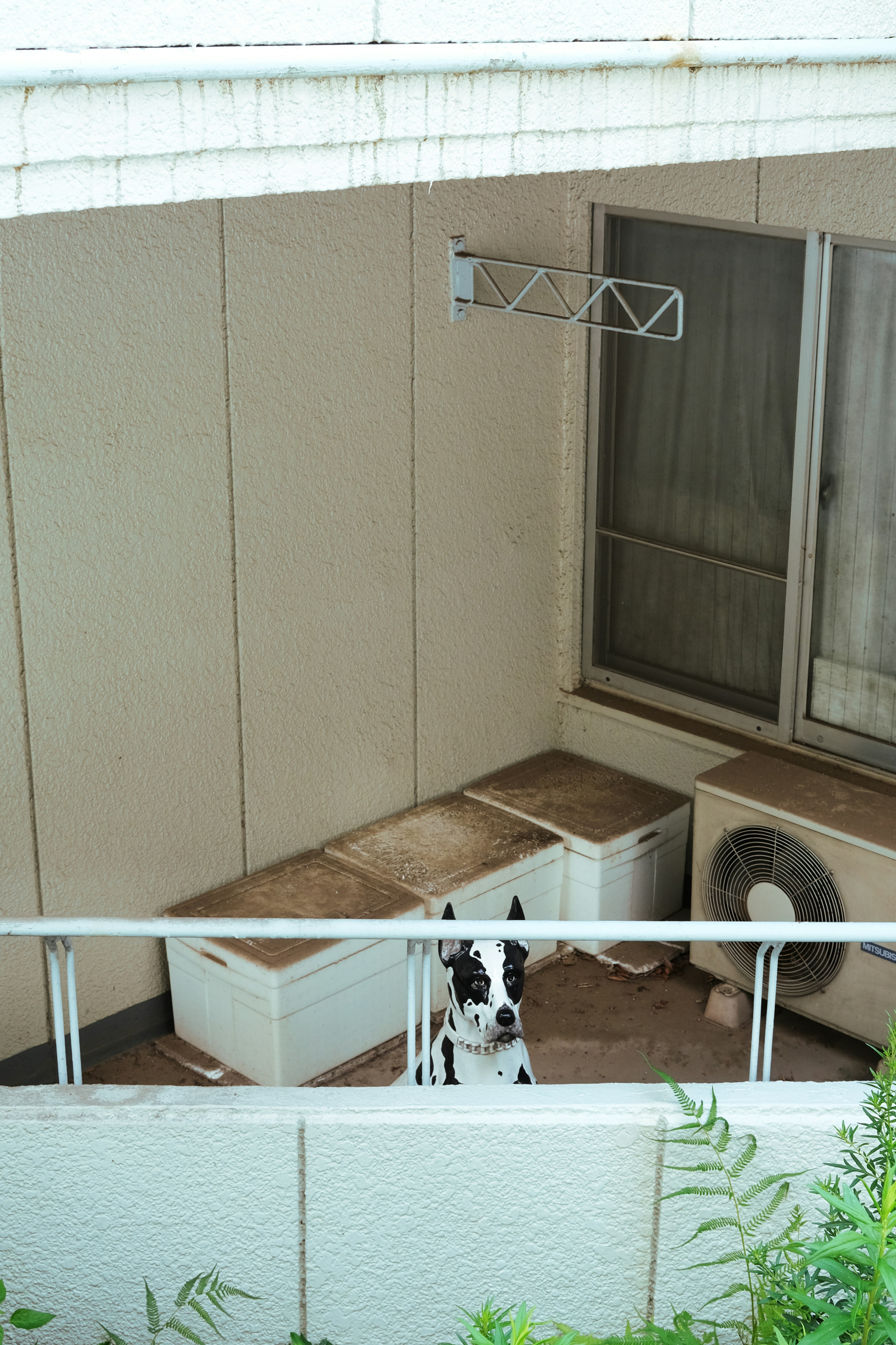 Rooftop Sentinel: Dalmatian Peering Over the Rail